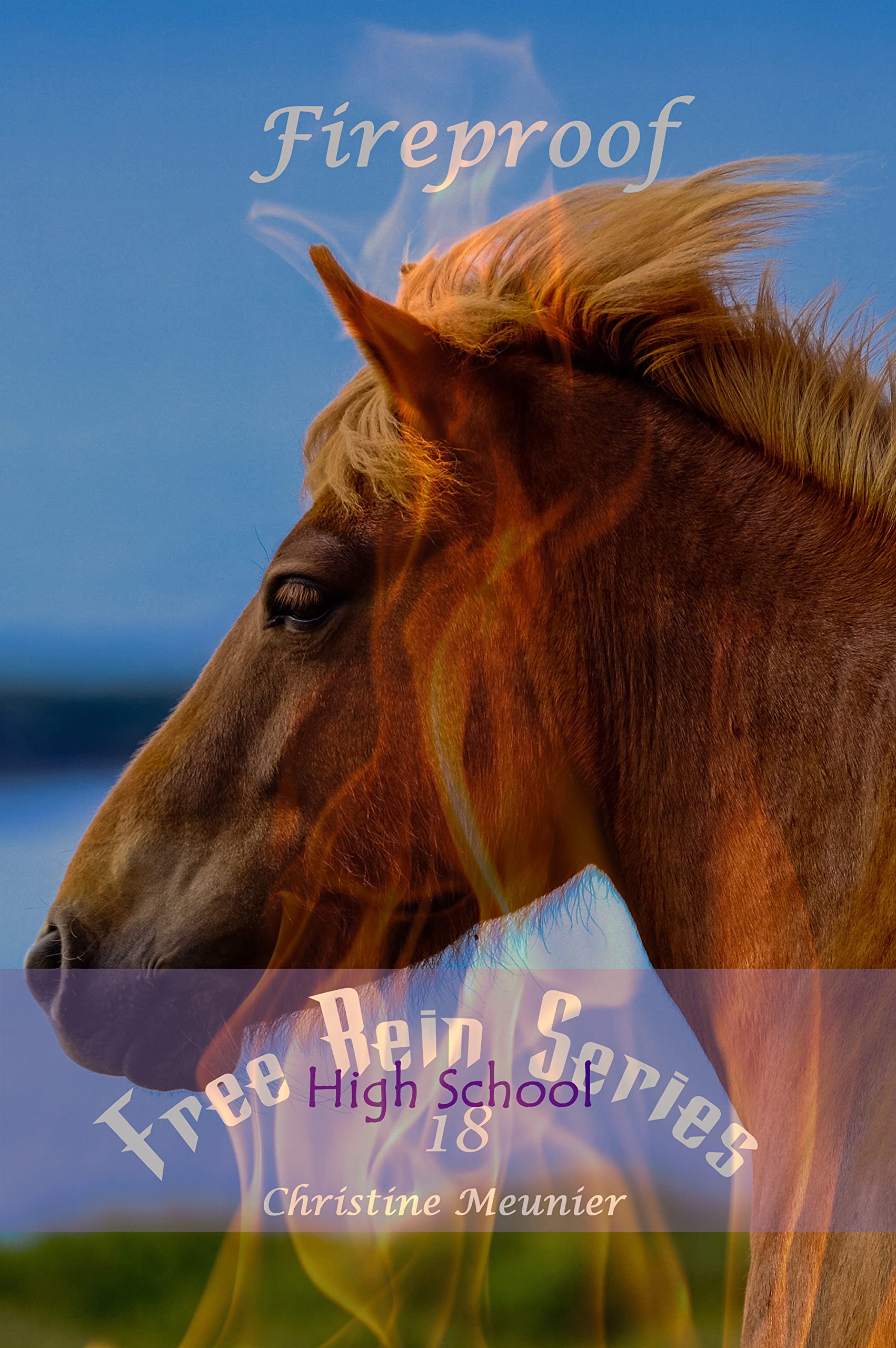 Fireproof (Free Rein Series Book 18) by Christine Meunier | Goodreads