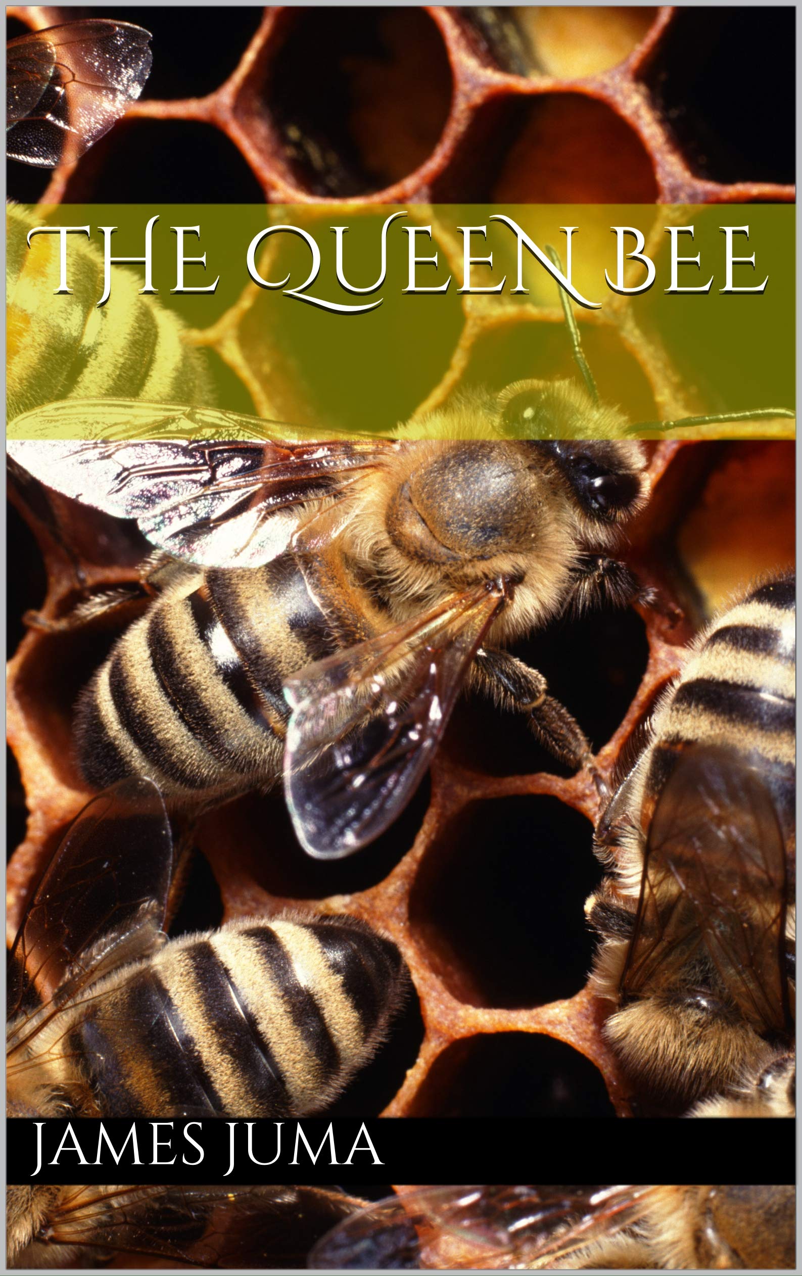 The Queen Bee by James Juma | Goodreads