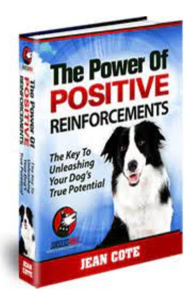 The Power of Positive Reinforcements: The Key to Unleashing Your Dog's ...