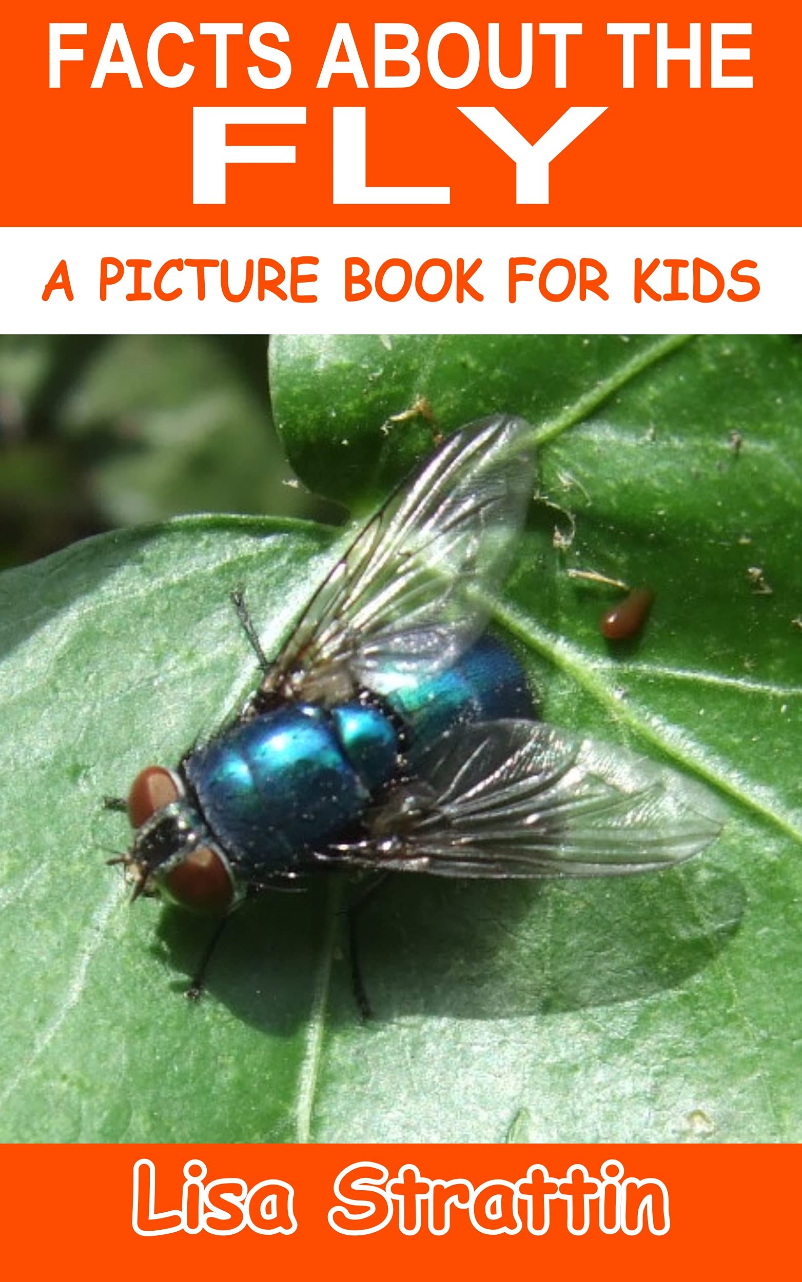 Facts About the Fly (A Picture Book For Kids 246) by Lisa Strattin ...