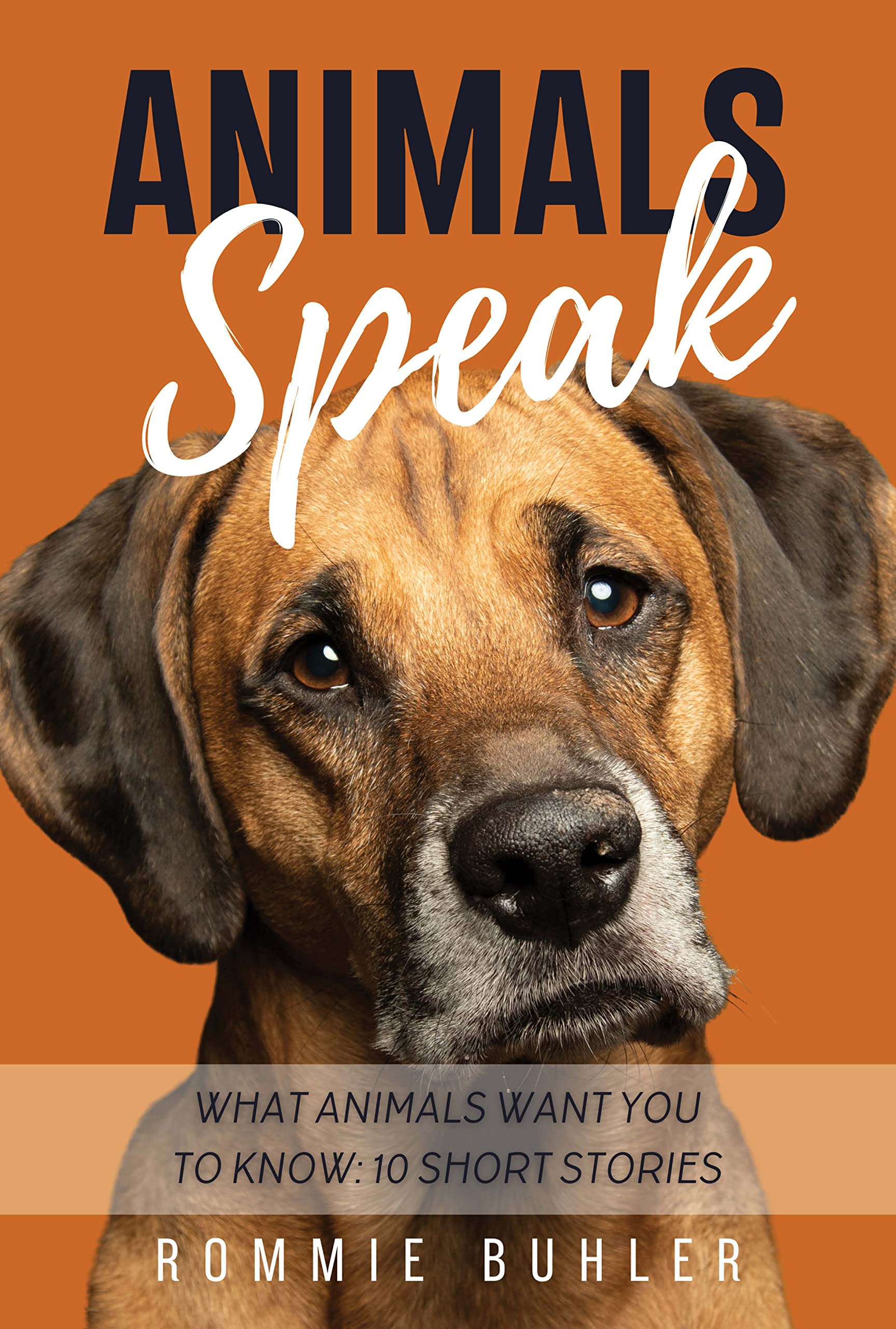ANIMALS SPEAK : What Animals Want You To Know: 10 Short Stories by ...
