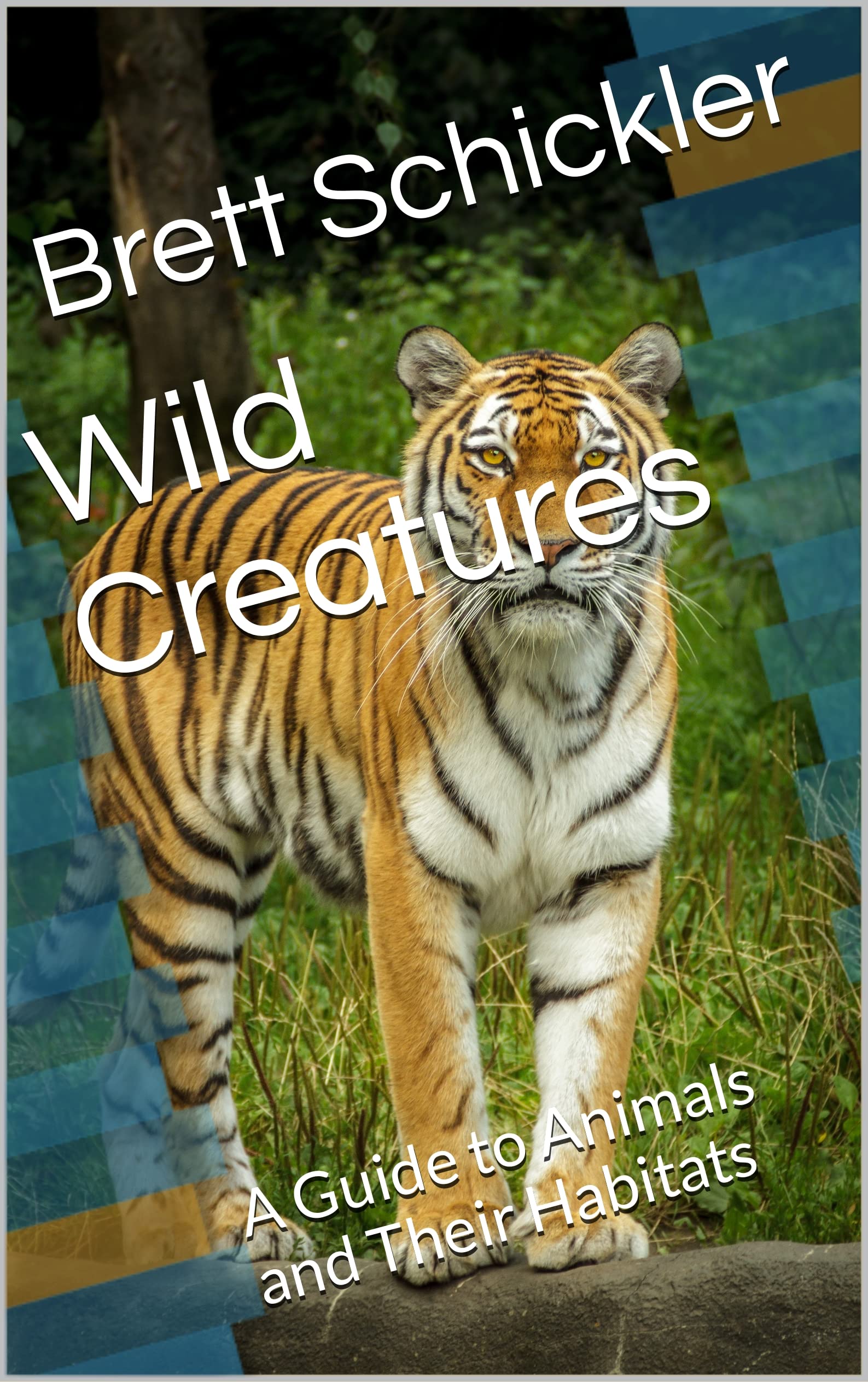 Wild Creatures: A Guide to Animals and Their Habitats by Brett ...