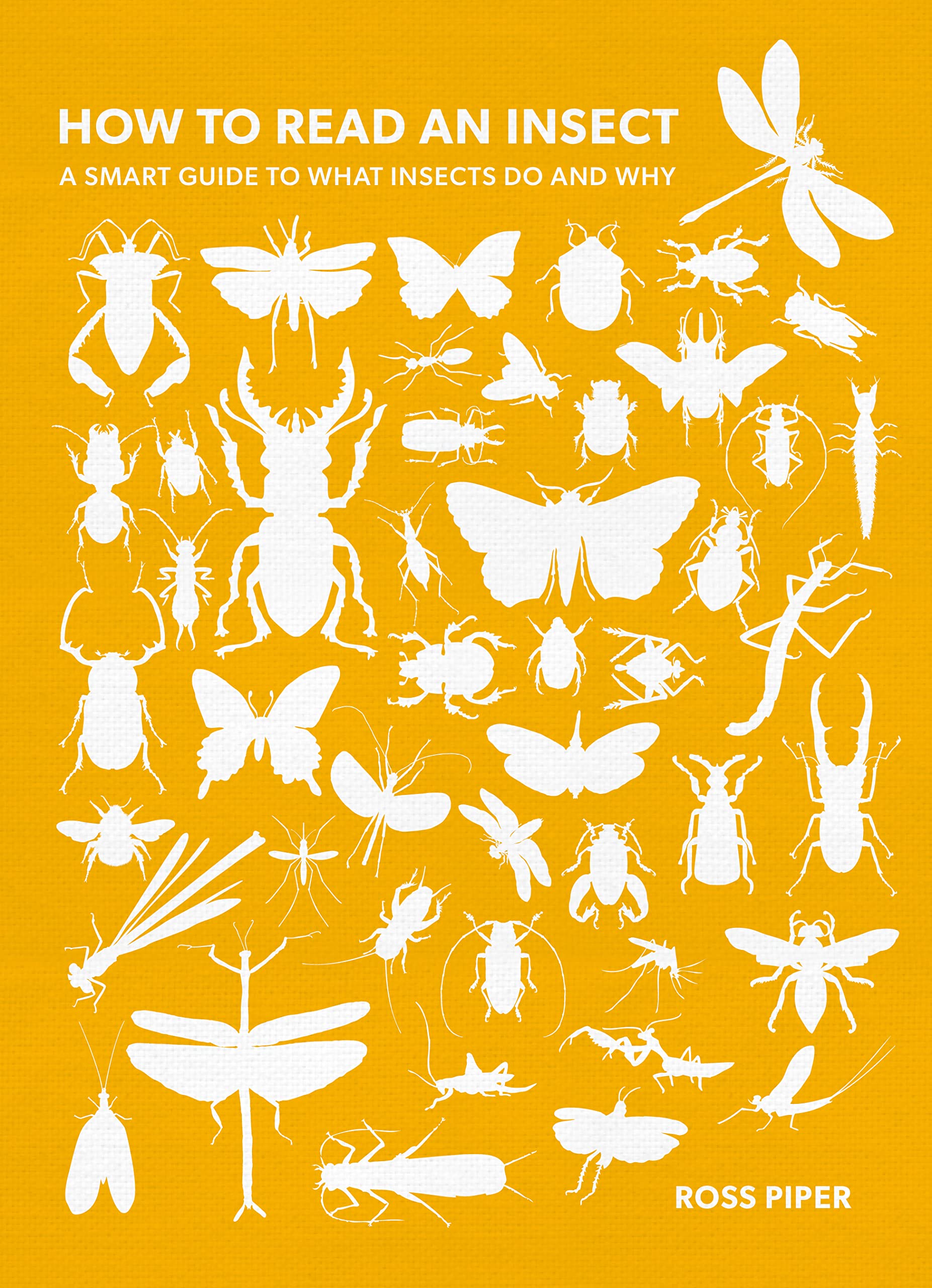 How to Read an Insect: A Smart Guide to What Insects Do and Why by Dr ...