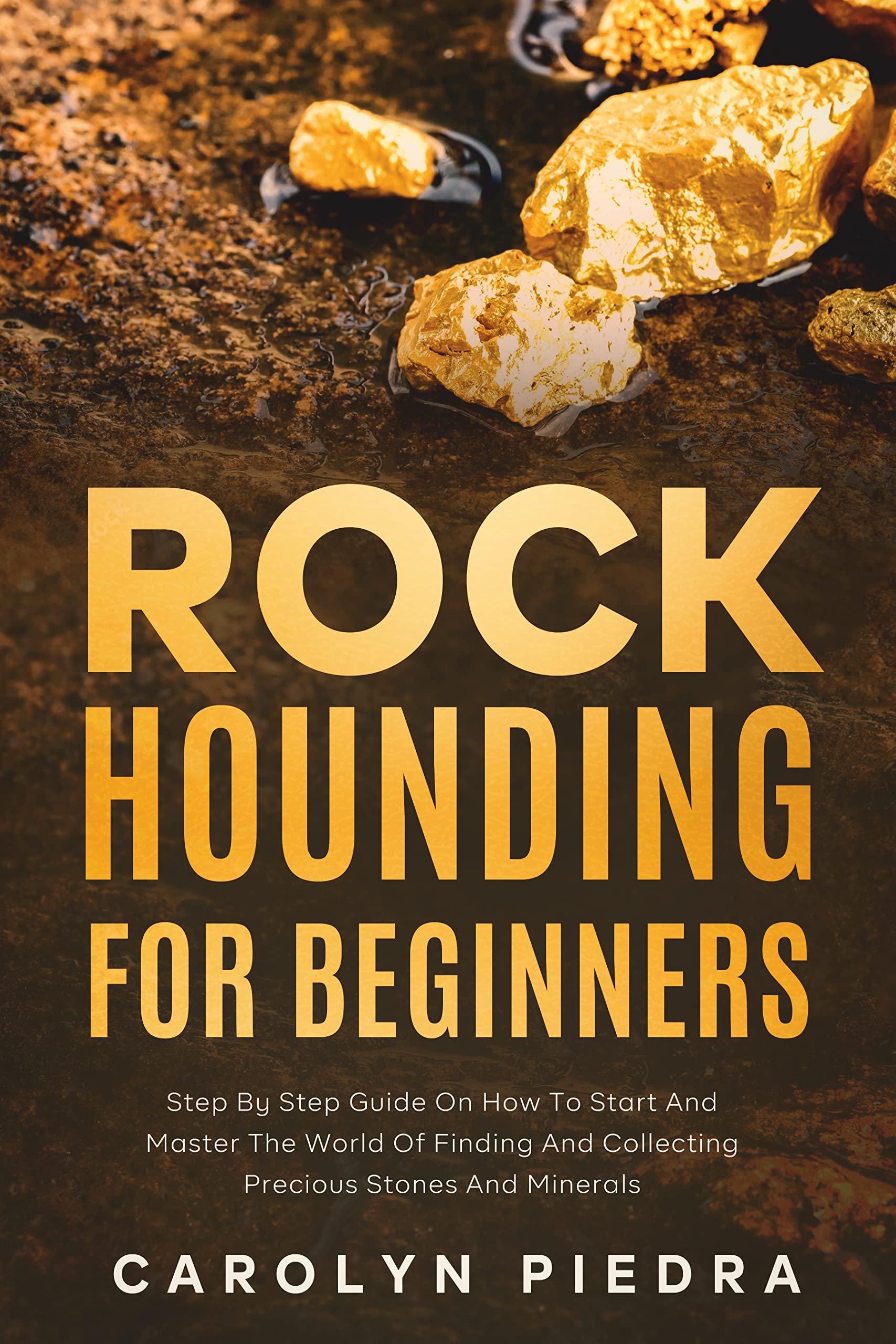Rock Hounding for Beginners: Step by Step Guide on How to Start and ...