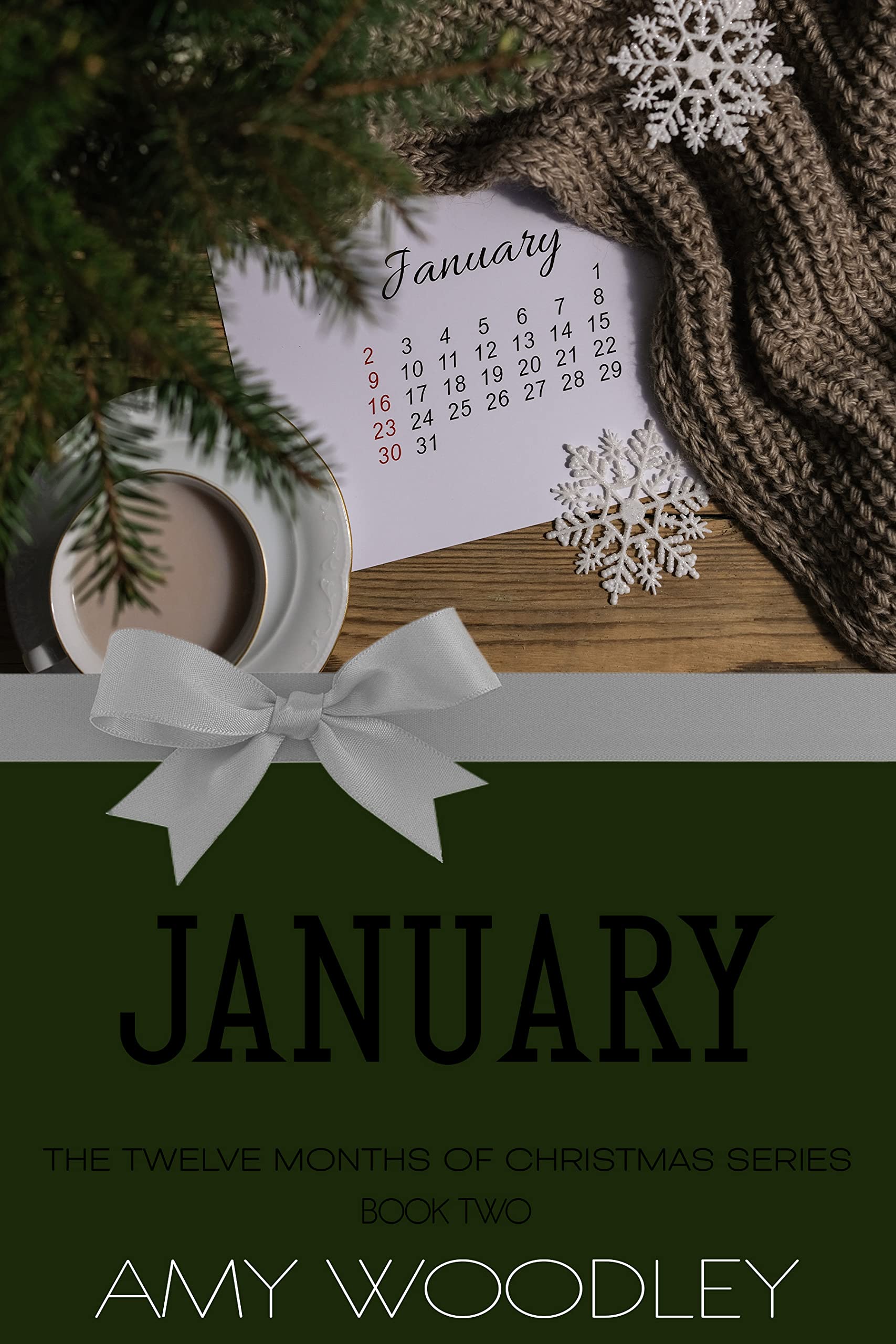 January (The Twelve Months of Christmas Book 2) by Amy Woodley | Goodreads