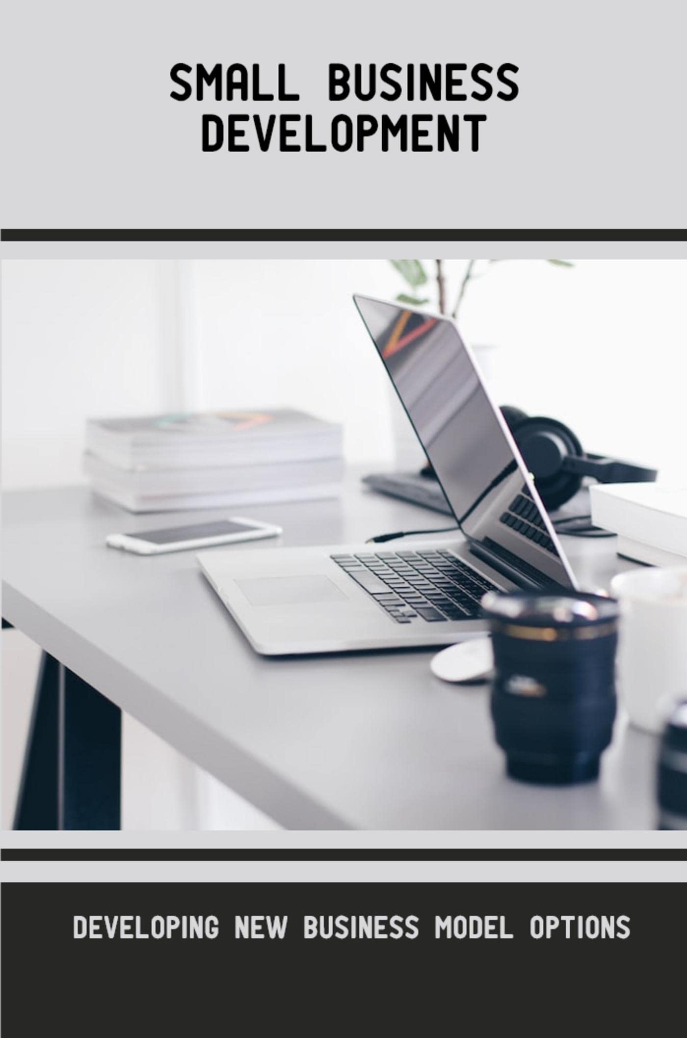 Small Business Development: Developing New Business Model Options by ...