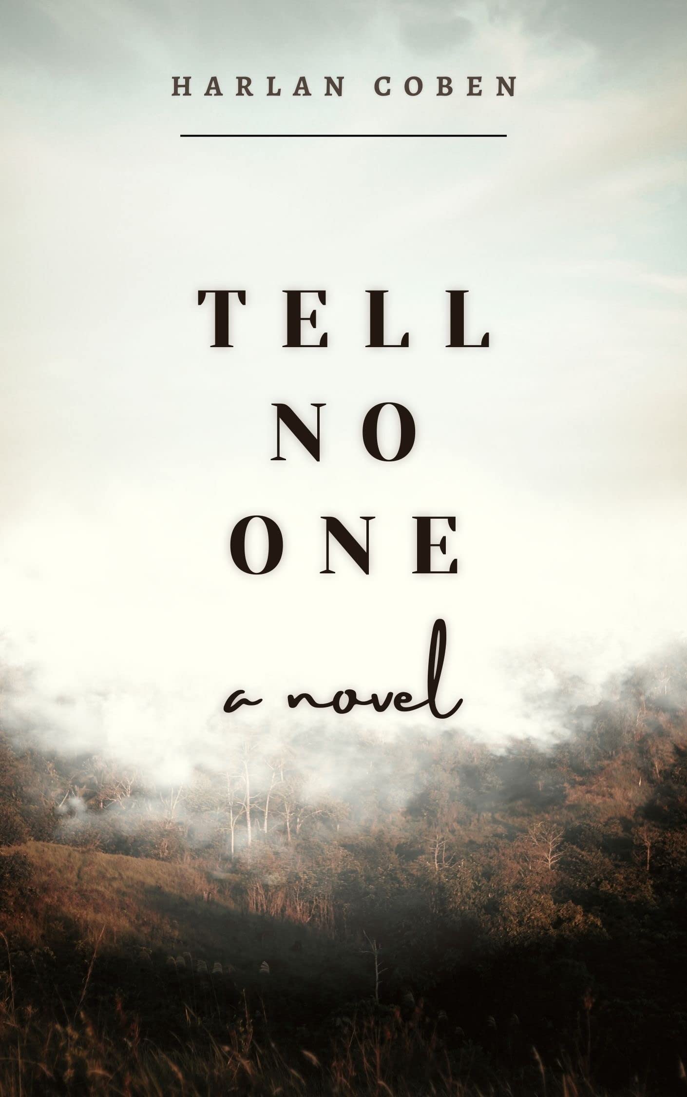 TELL NO ONE, A NOVEL (A GREAT BOOK): Illustrated by Harlan Coben ...