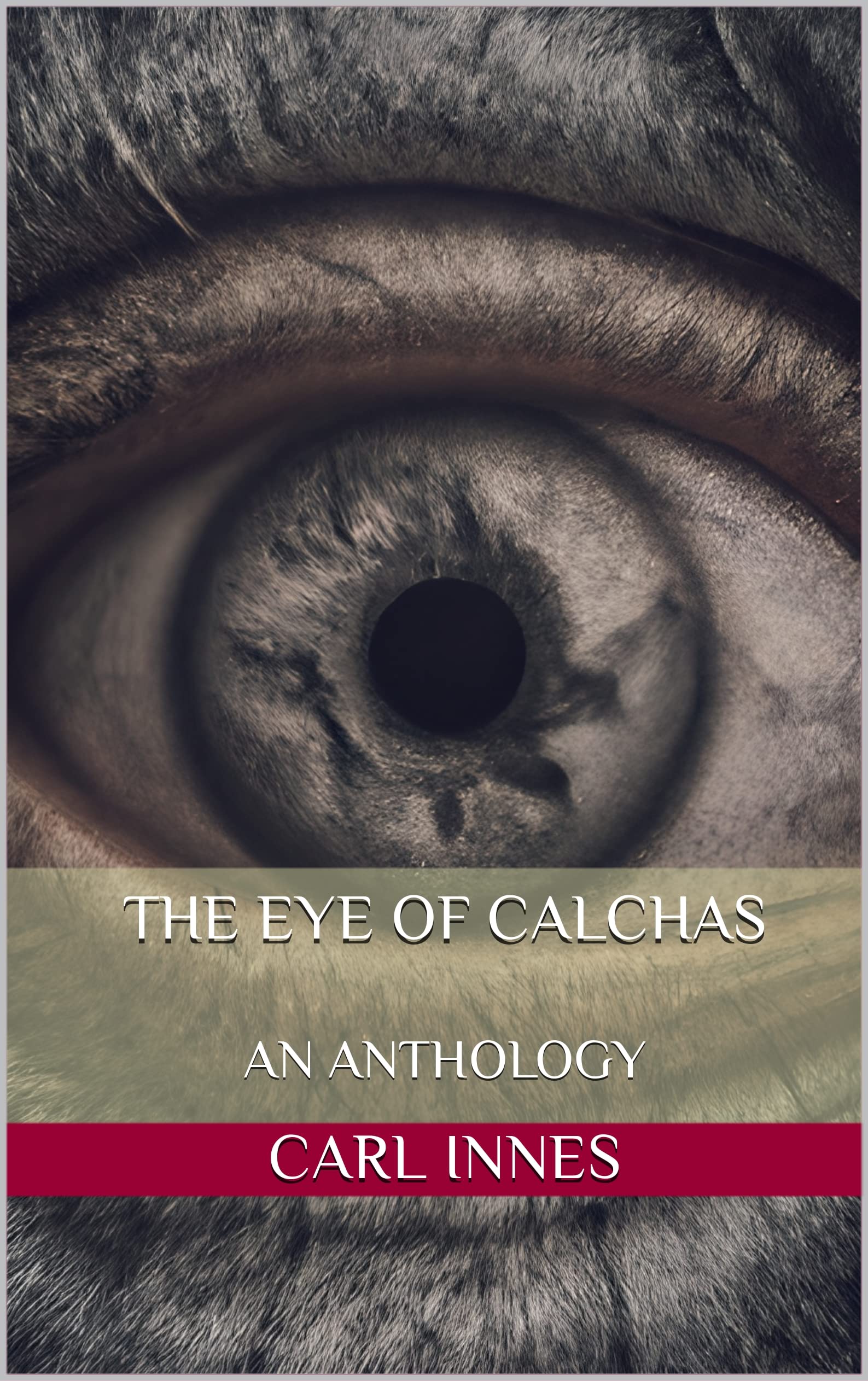 The Eye of Calchas: An Anthology by Carl Innes | Goodreads