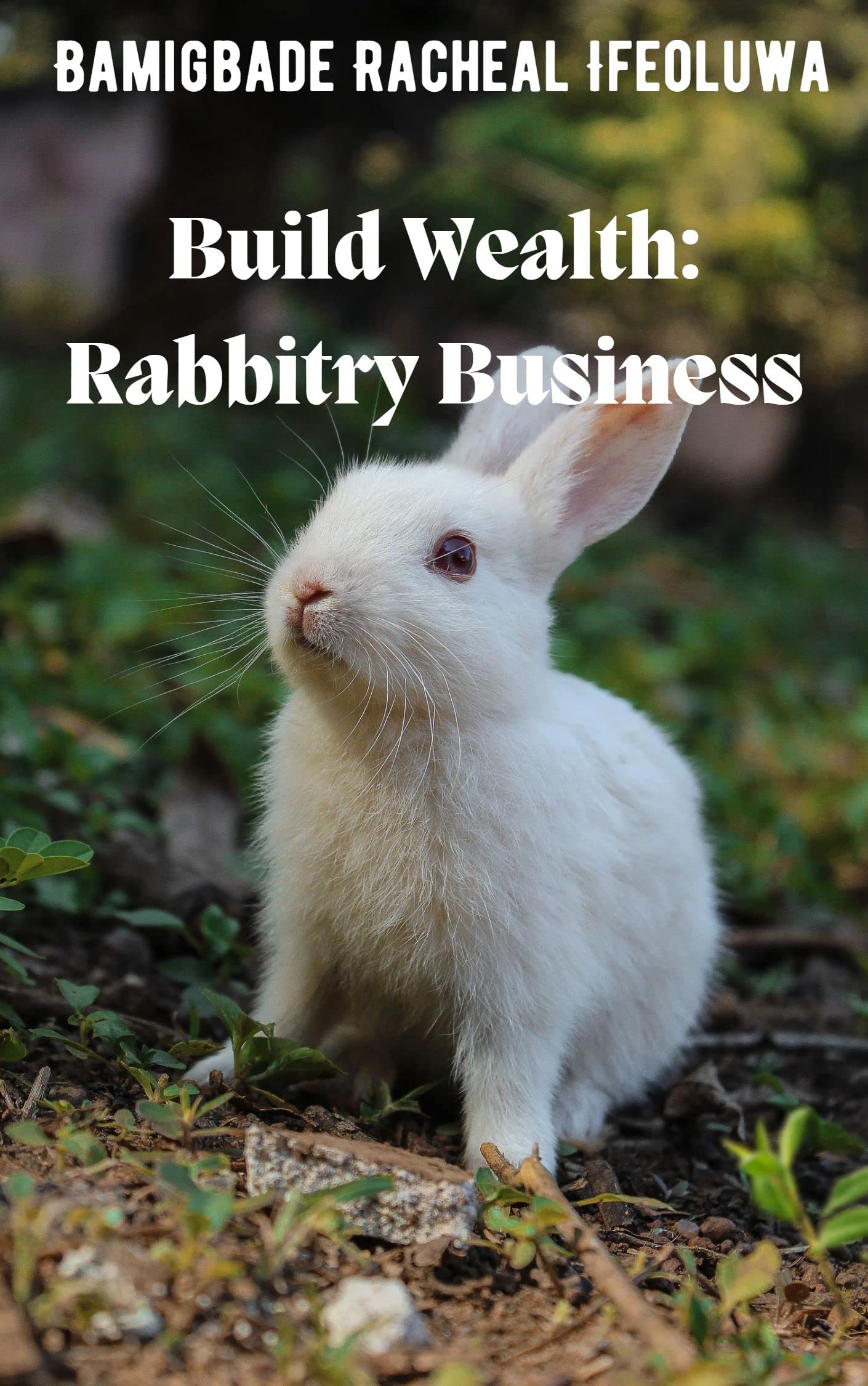Build Wealth; Rabbitry Business by Racheal Bamigbade | Goodreads
