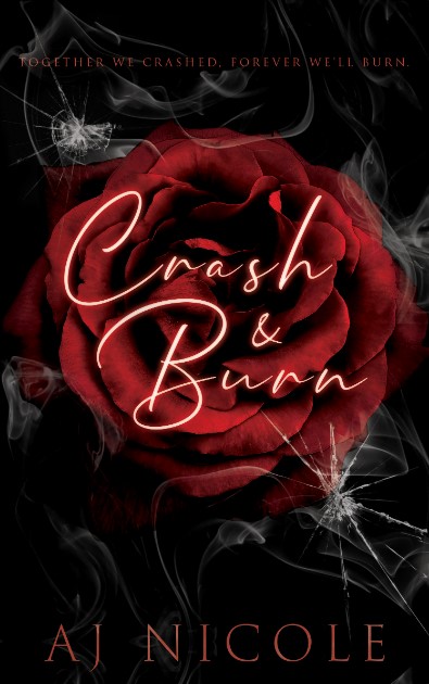 Crash & Burn (Pain & Pleasure, #1) by A.J. Nicole | Goodreads