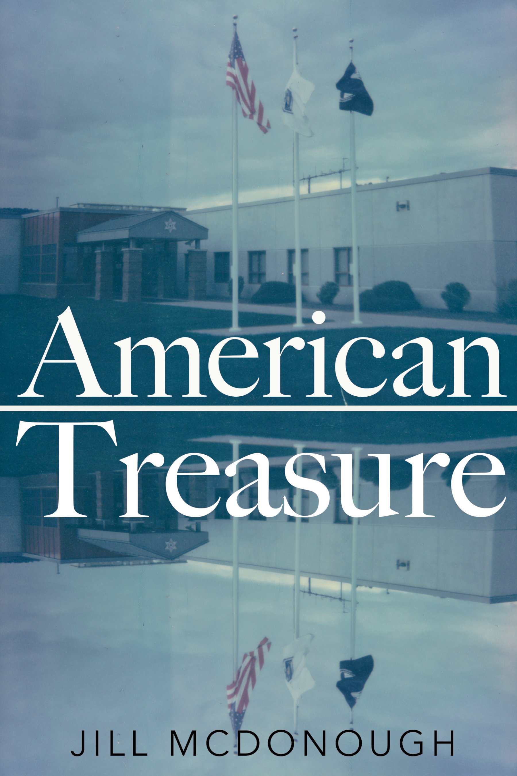 American Treasure by Jill McDonough | Goodreads