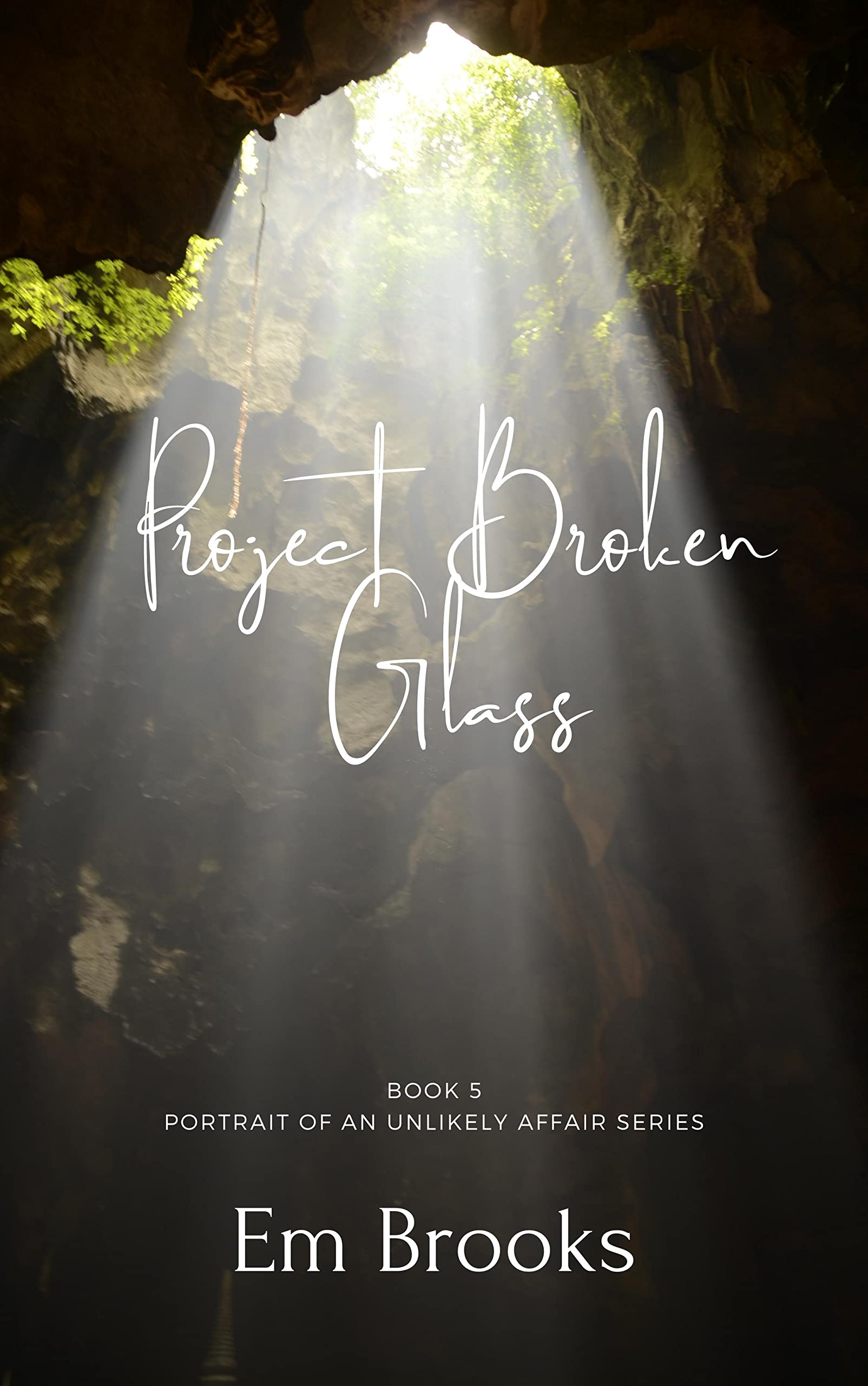Project Broken Glass: Book 5 of the Portrait of an Unlikely Affair ...