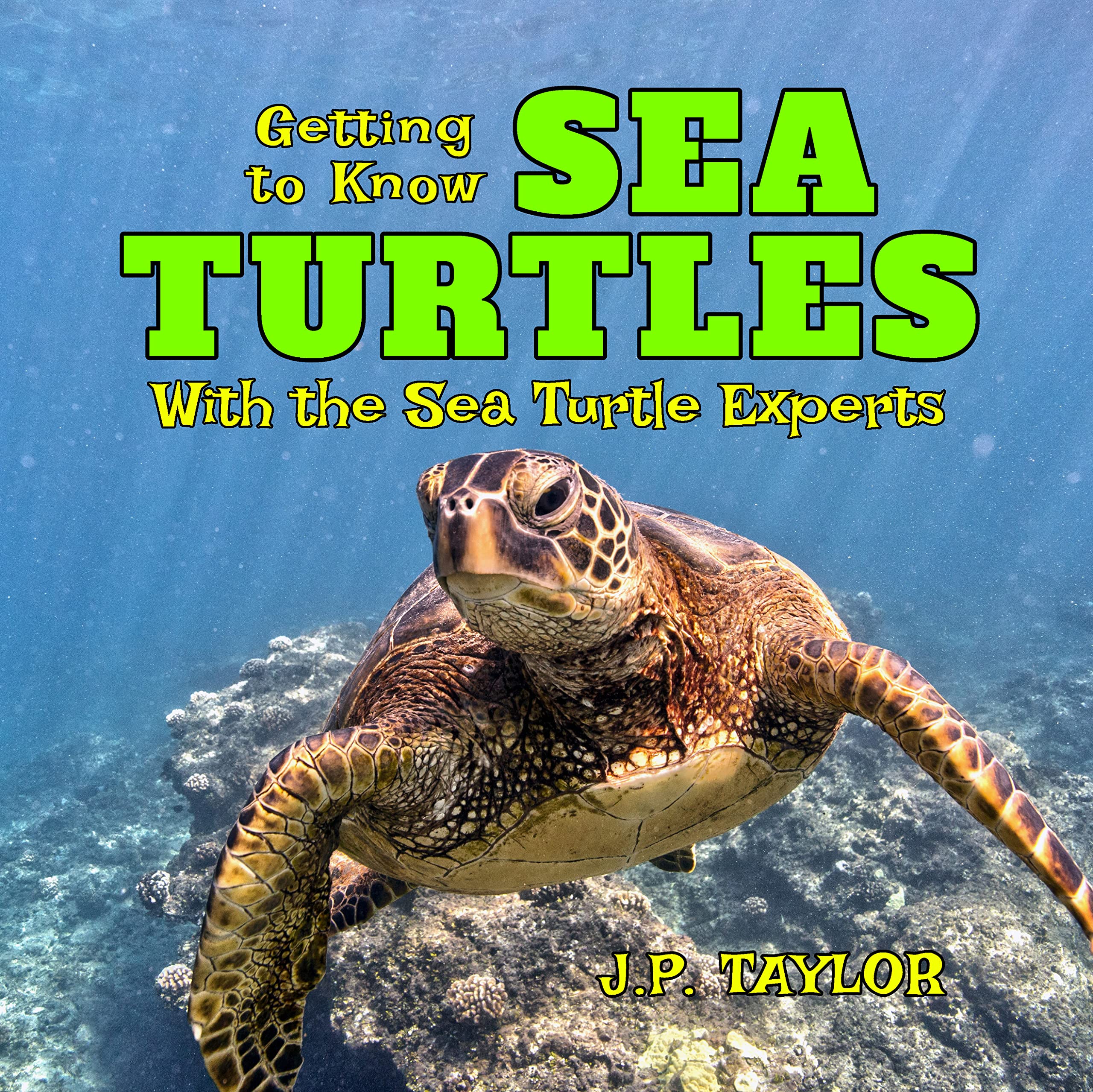 Getting to Know Sea Turtles: With the Sea Turtle Experts by J.P. Taylor ...