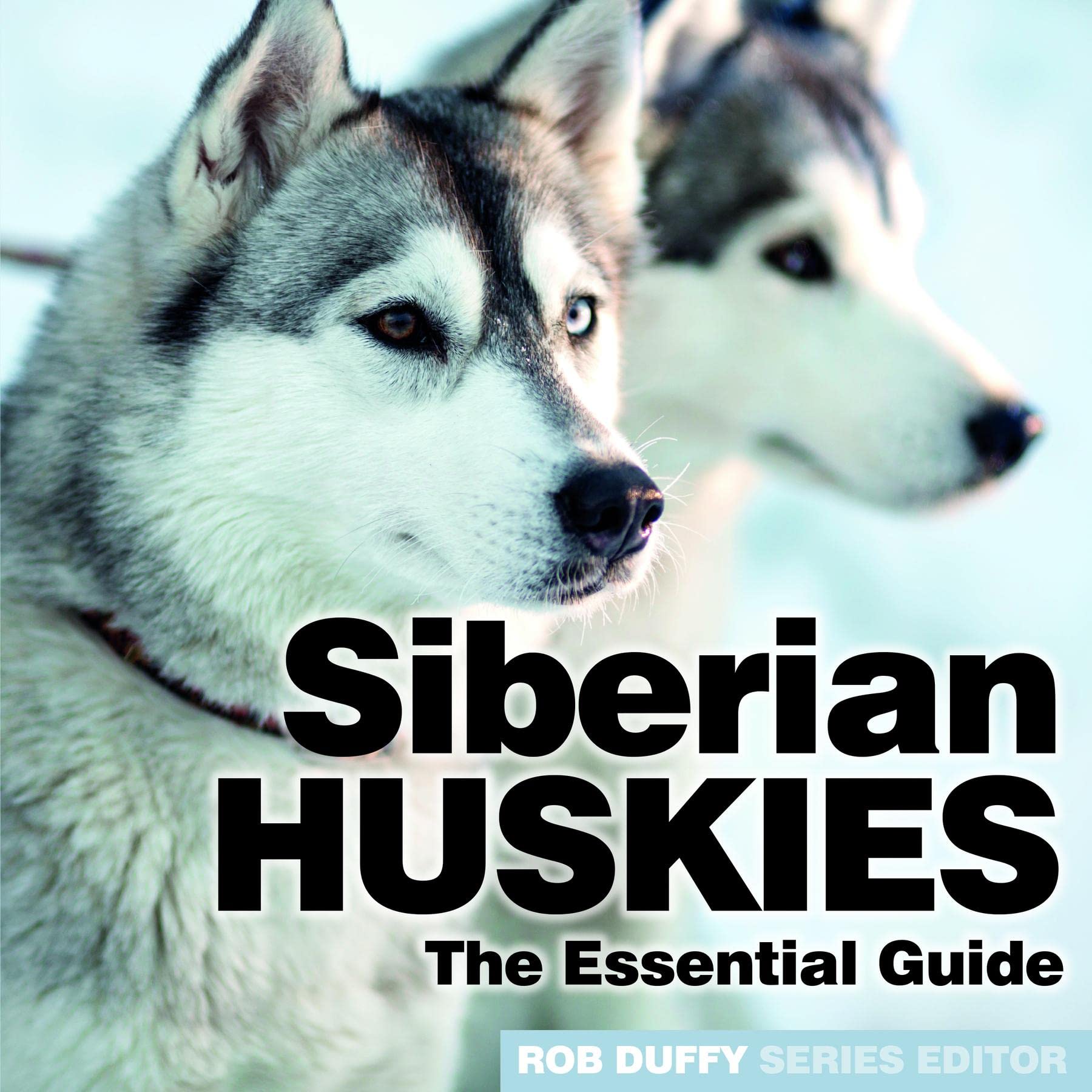 Siberian Huskies: The Essential Guide by Robert Duffy | Goodreads