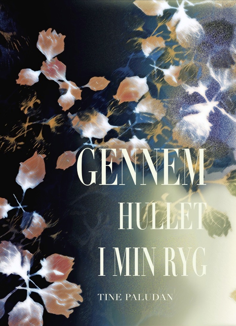 Gennem hullet i min ryg by Tine Paludan | Goodreads