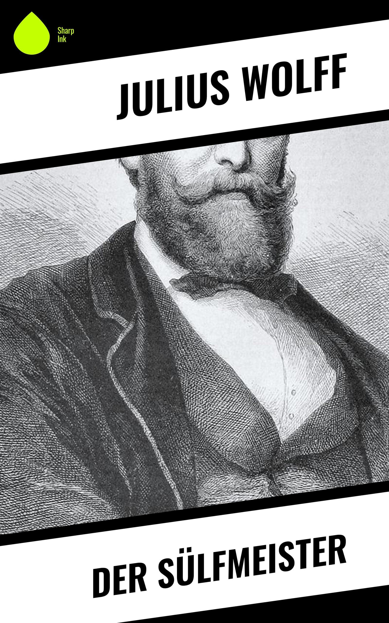 Der Sülfmeister (German Edition) by Julius Wolff | Goodreads