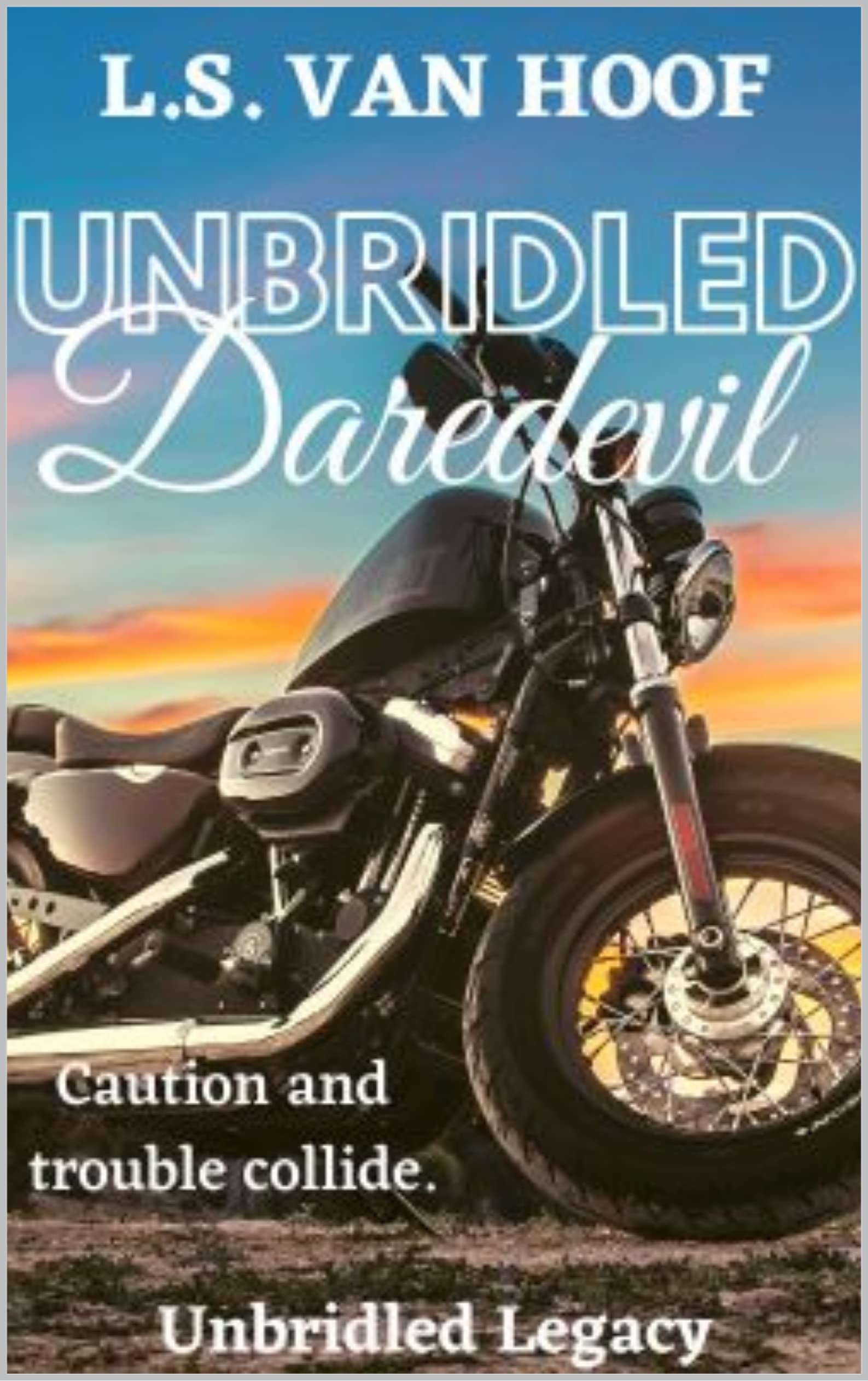 Unbridled Daredevil (Unbridled Legacy Book 1) by L.S. Schmidt | Goodreads