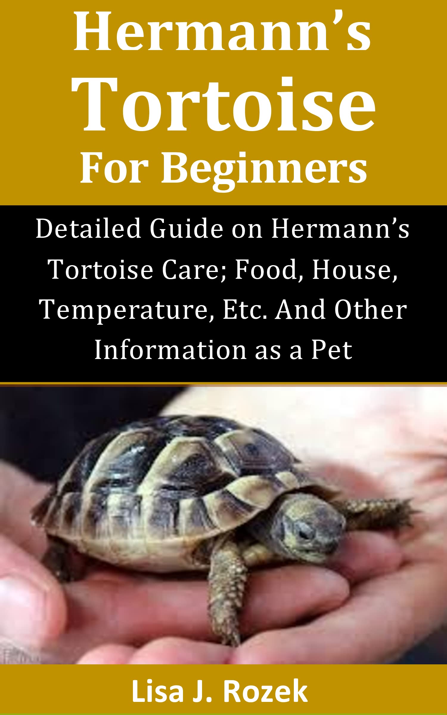 Hermann’s Tortoise for Beginners: Detailed Guide on Hermann’s Tortoise ...