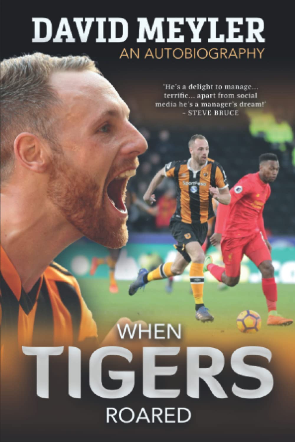 David Meyler: When Tigers Roared by David Meyler | Goodreads