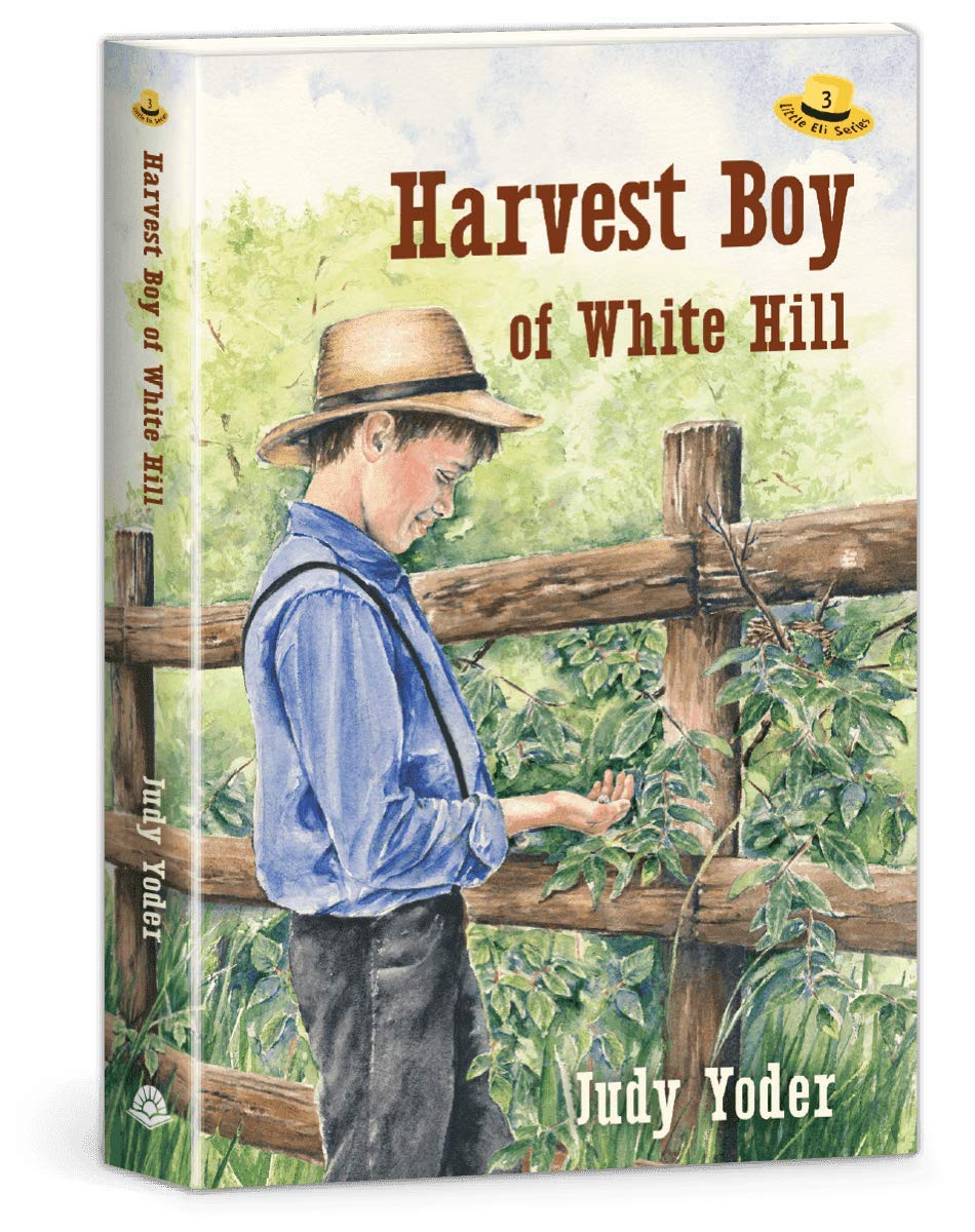 Harvest Boy of White Hill by Judy Yoder | Goodreads