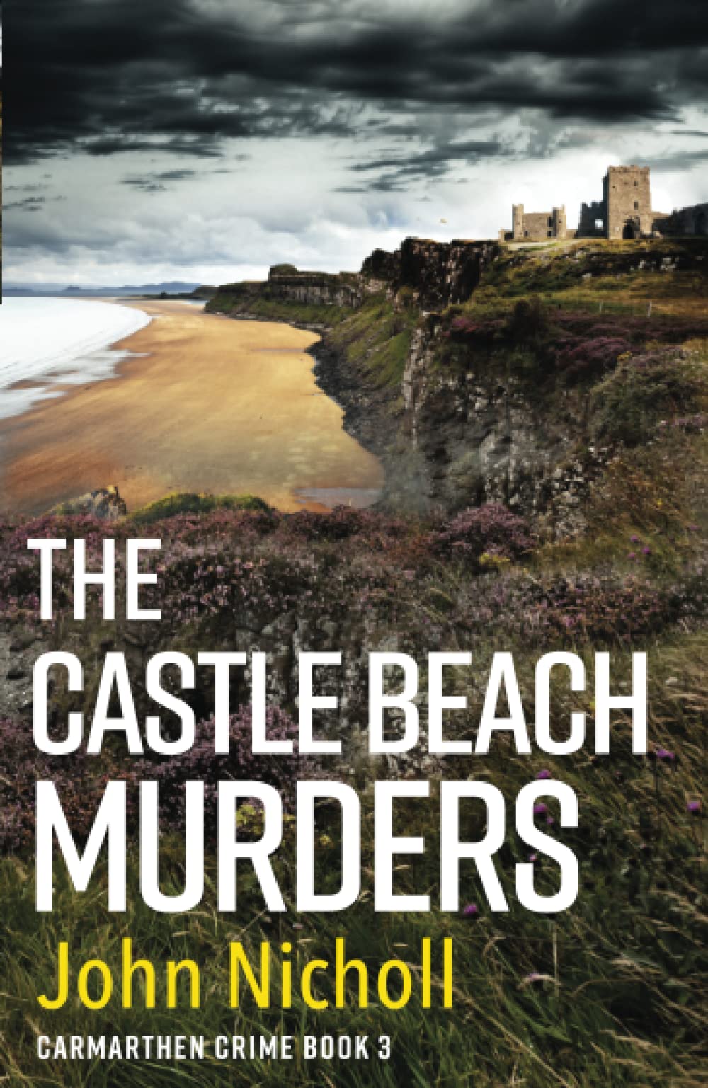 The Castle Beach Murders (Carmarthen Crime) by John Nicholl | Goodreads