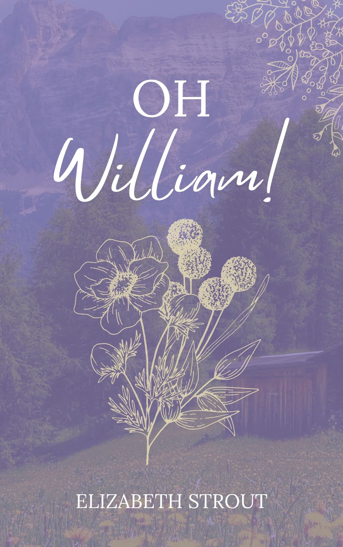 UNMISSABLE: OH WILLIAM! (A MODERN NOVEL): Illustrated by BY ELIZABETH ...