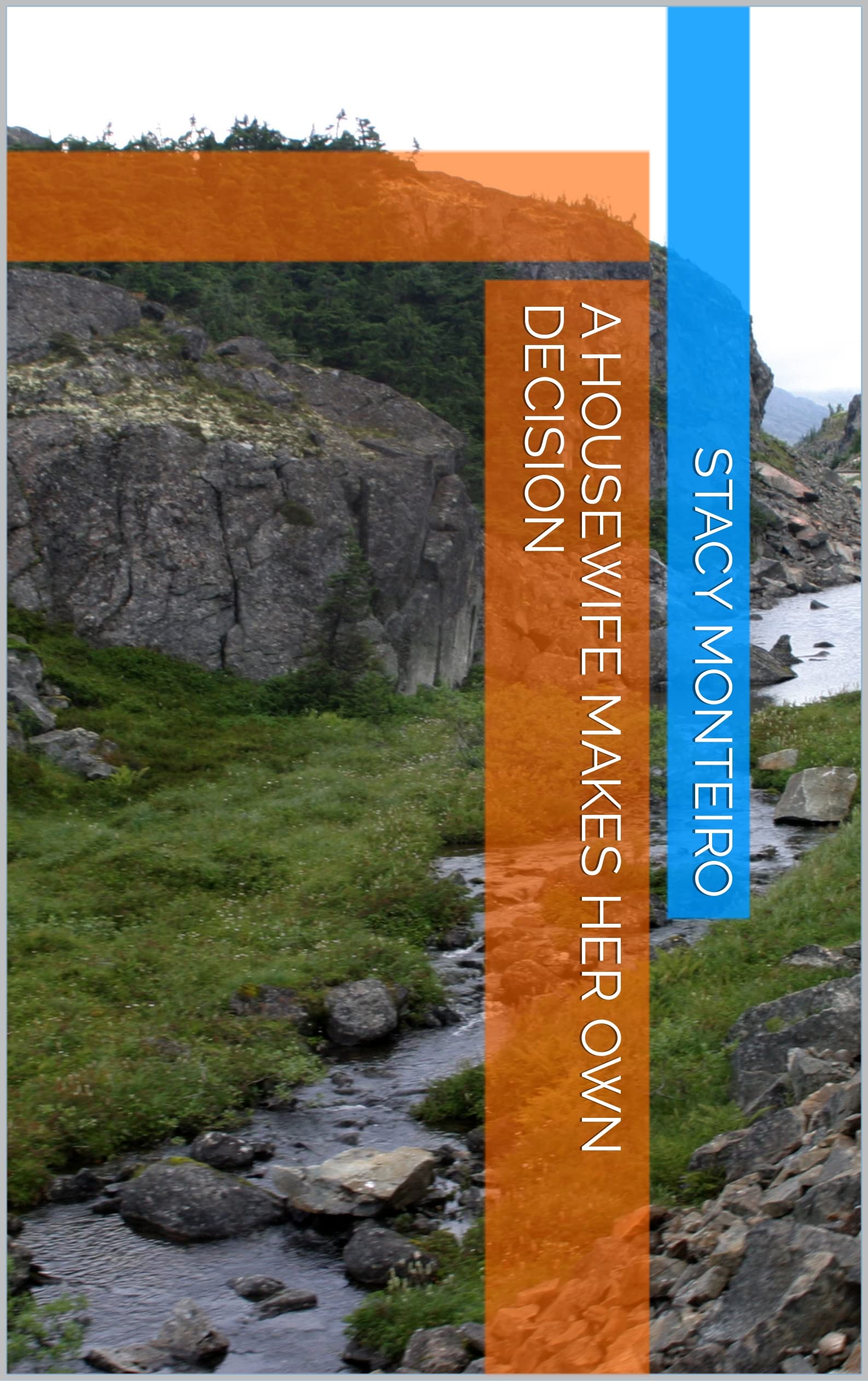 A housewife makes her own decision by Stacy Monteiro | Goodreads