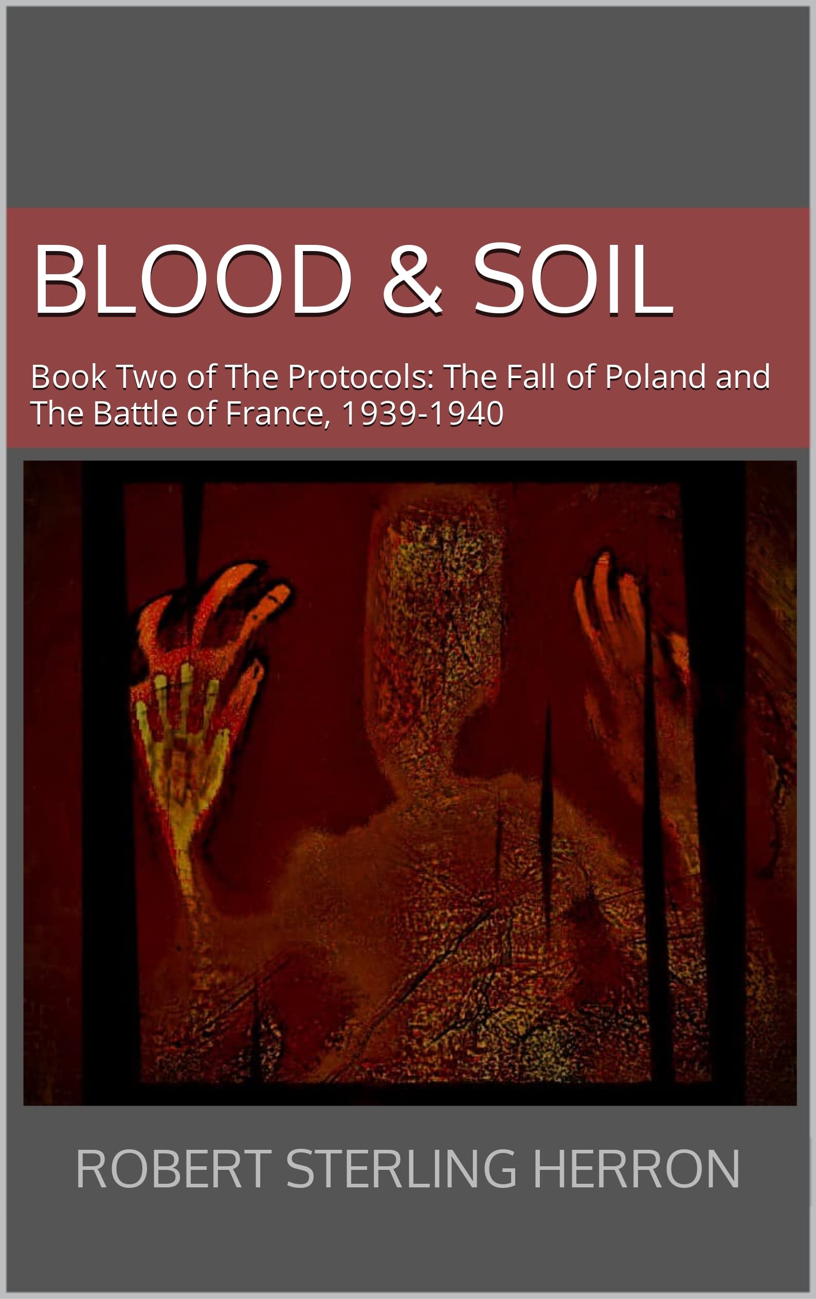 Blood & Soil: The Fall of Poland and The Battle of France. 1939-1940 ...