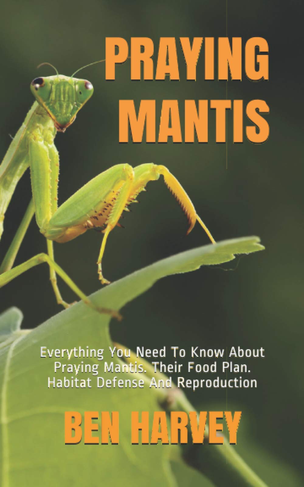 PRAYING MANTIS: Everything You Need To Know About Praying Mantis. Their ...
