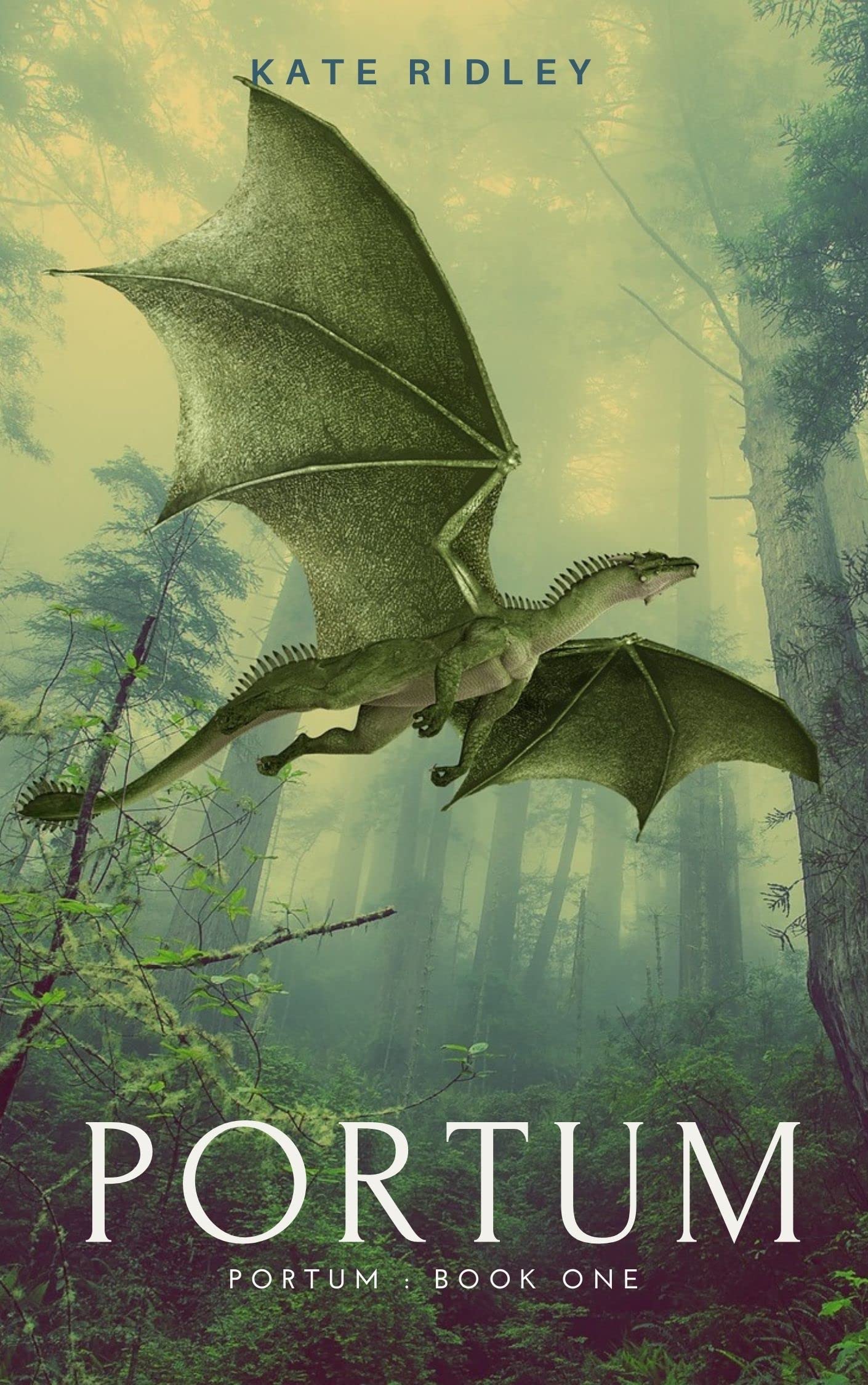 Portum (Portum book one) by Kate Ridley | Goodreads