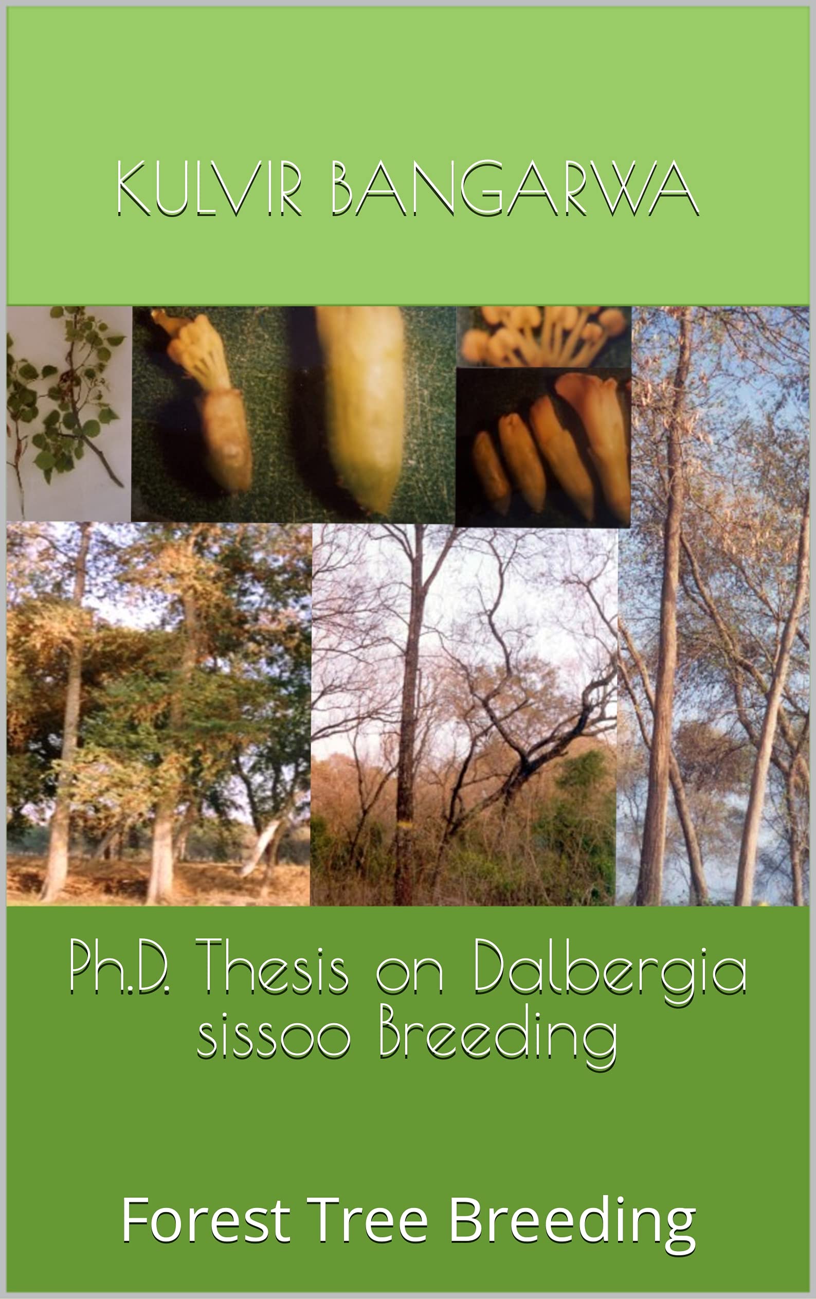 Ph.D. Thesis on Dalbergia sissoo Breeding: Forest Tree Breeding by ...
