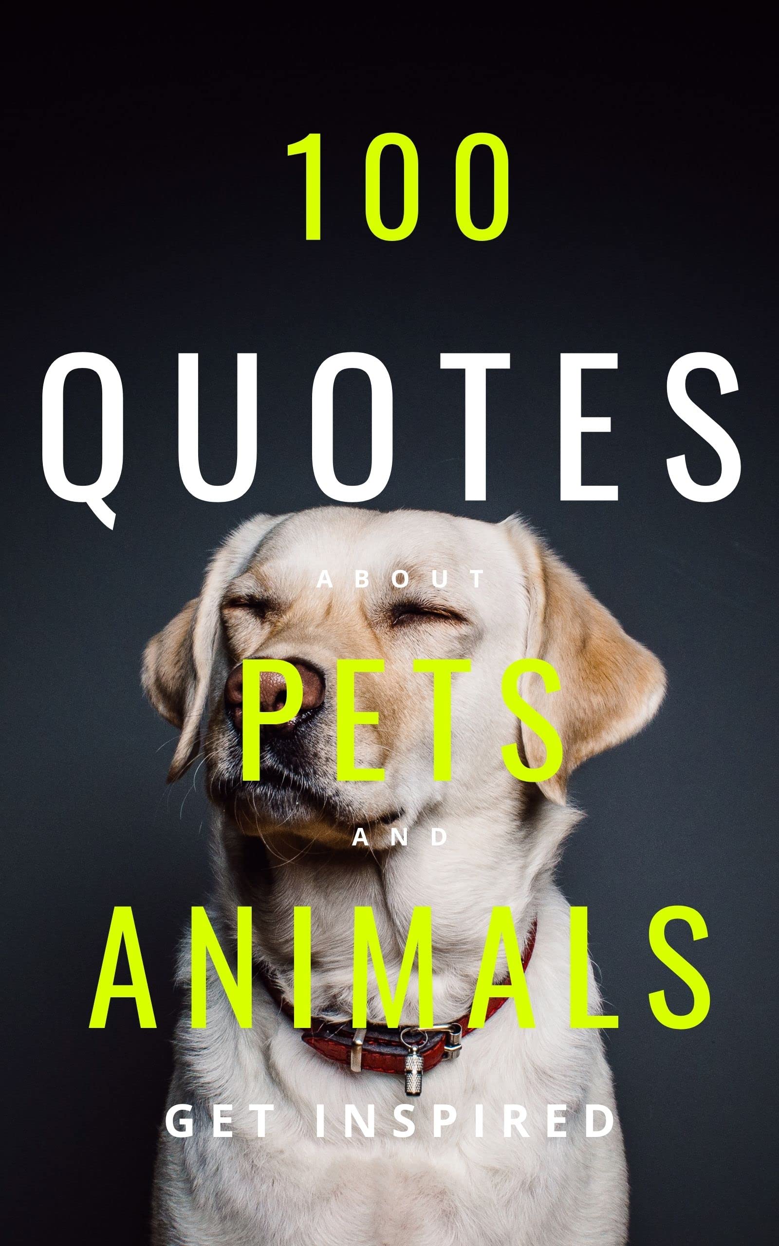 100 Quotes About Pets And Animals: A Boost Of Inspiration For All Dog ...