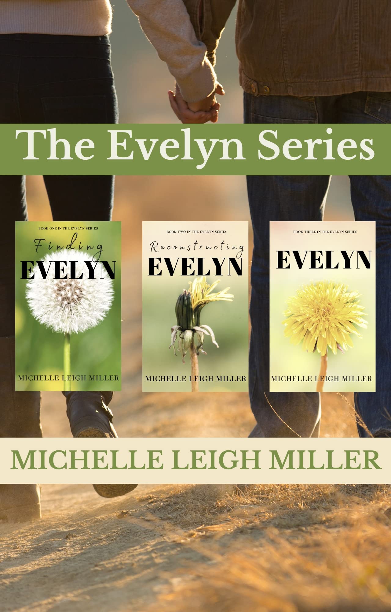 The Evelyn Series Collection: Includes Finding Evelyn, Reconstructing ...