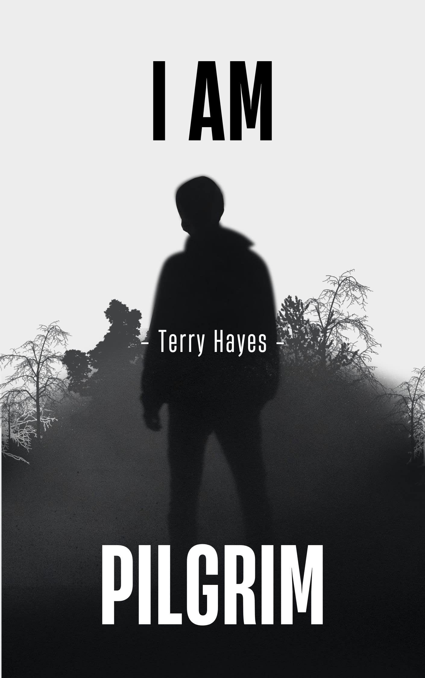 MUST-READ: I AM PILGRIM (A GREAT BOOK): Illustrated by Terry Hayes ...