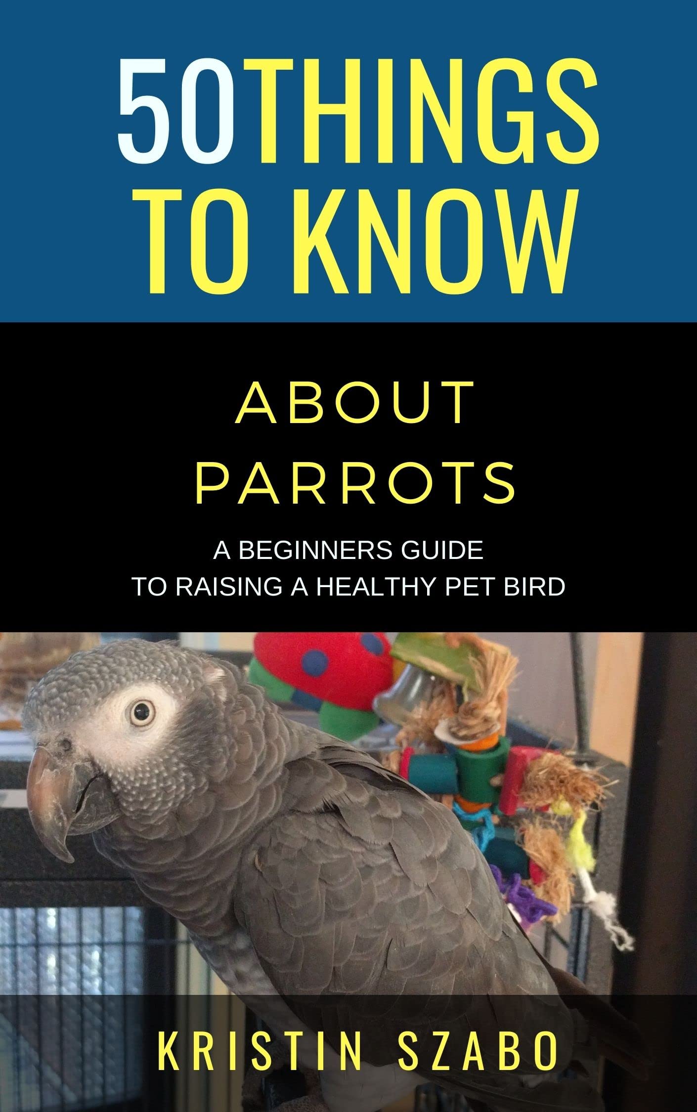 50 Things to Know About Parrots : A Beginners Guide to Raising a ...