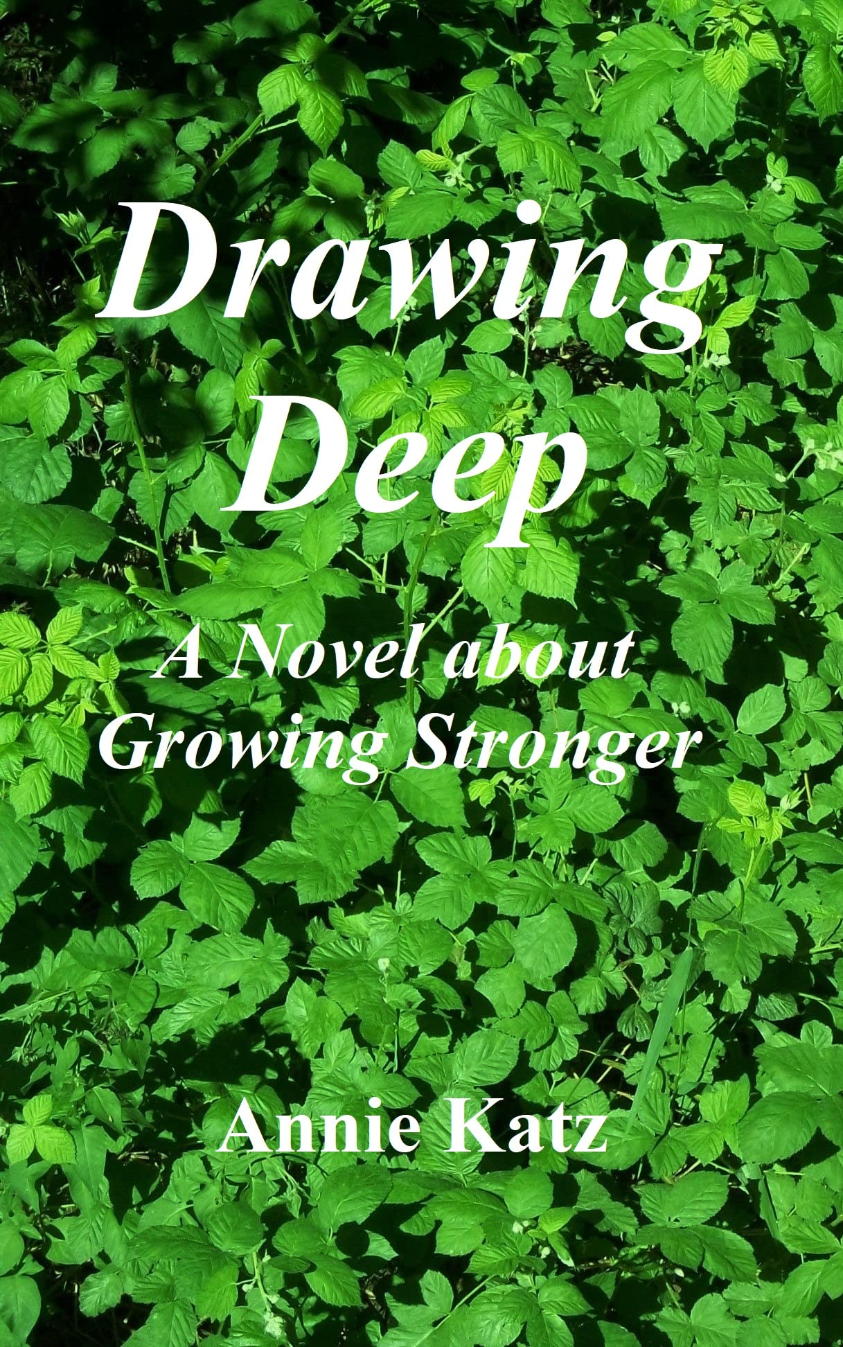 Drawing Deep: A Novel about Growing Stronger by Annie Katz | Goodreads