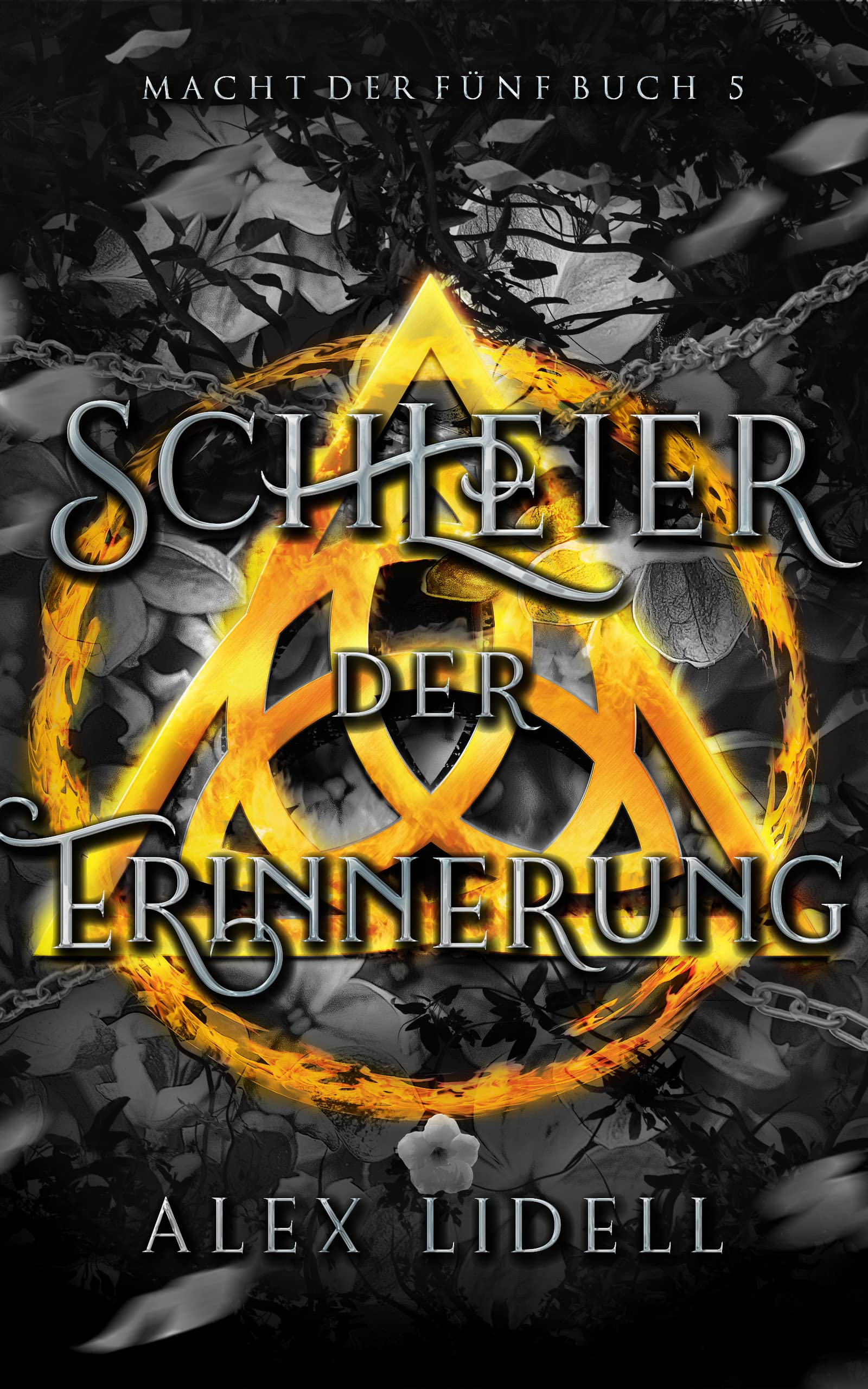 Schleier der Erinnerung, Macht der Fünf Buch 5: Fantasy Fae-Wandler ...
