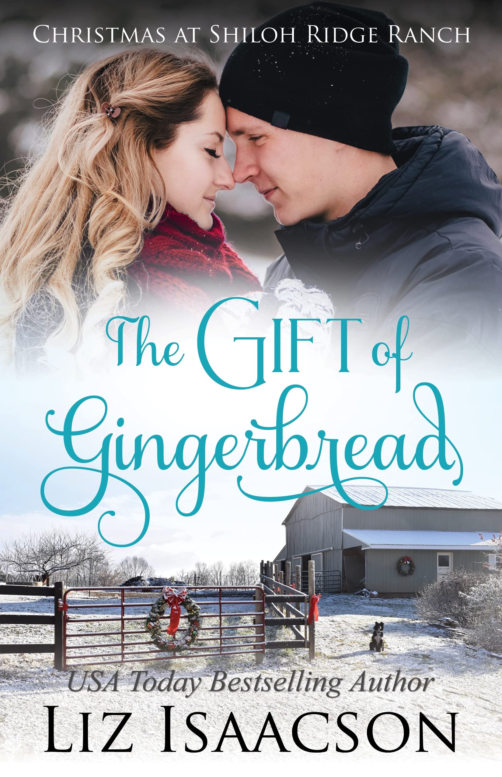 The Gift of Gingerbread by Liz Isaacson | Goodreads