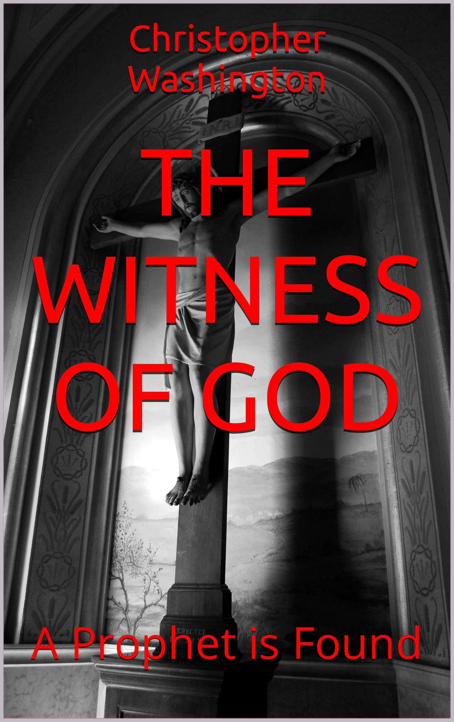 THE WITNESS OF GOD: A PROPHET IS FOUND by Christopher Washington ...