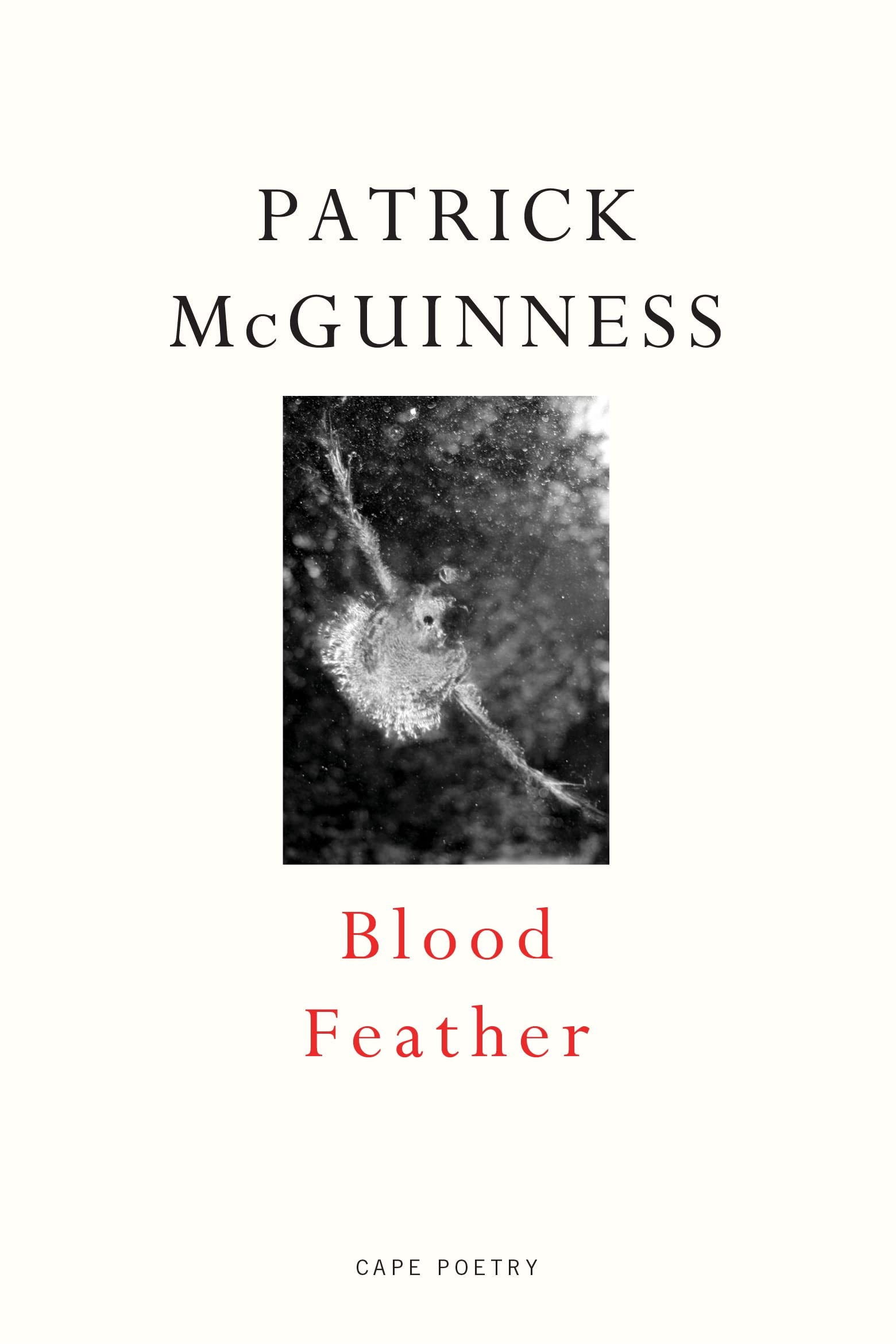 Blood Feather: ‘He writes with Proustian élan and Nabokovian delight ...