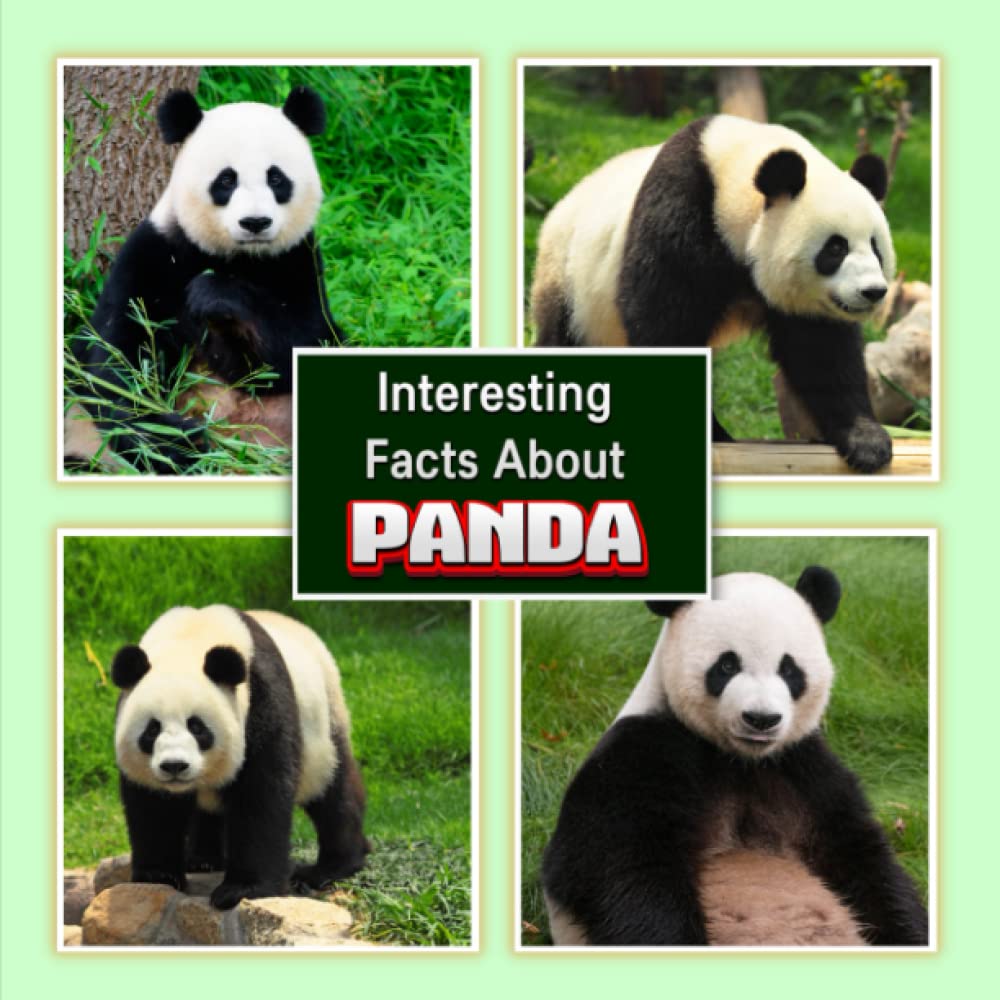 Interesting Facts About Panda: Panda Picture Book for Children's ...