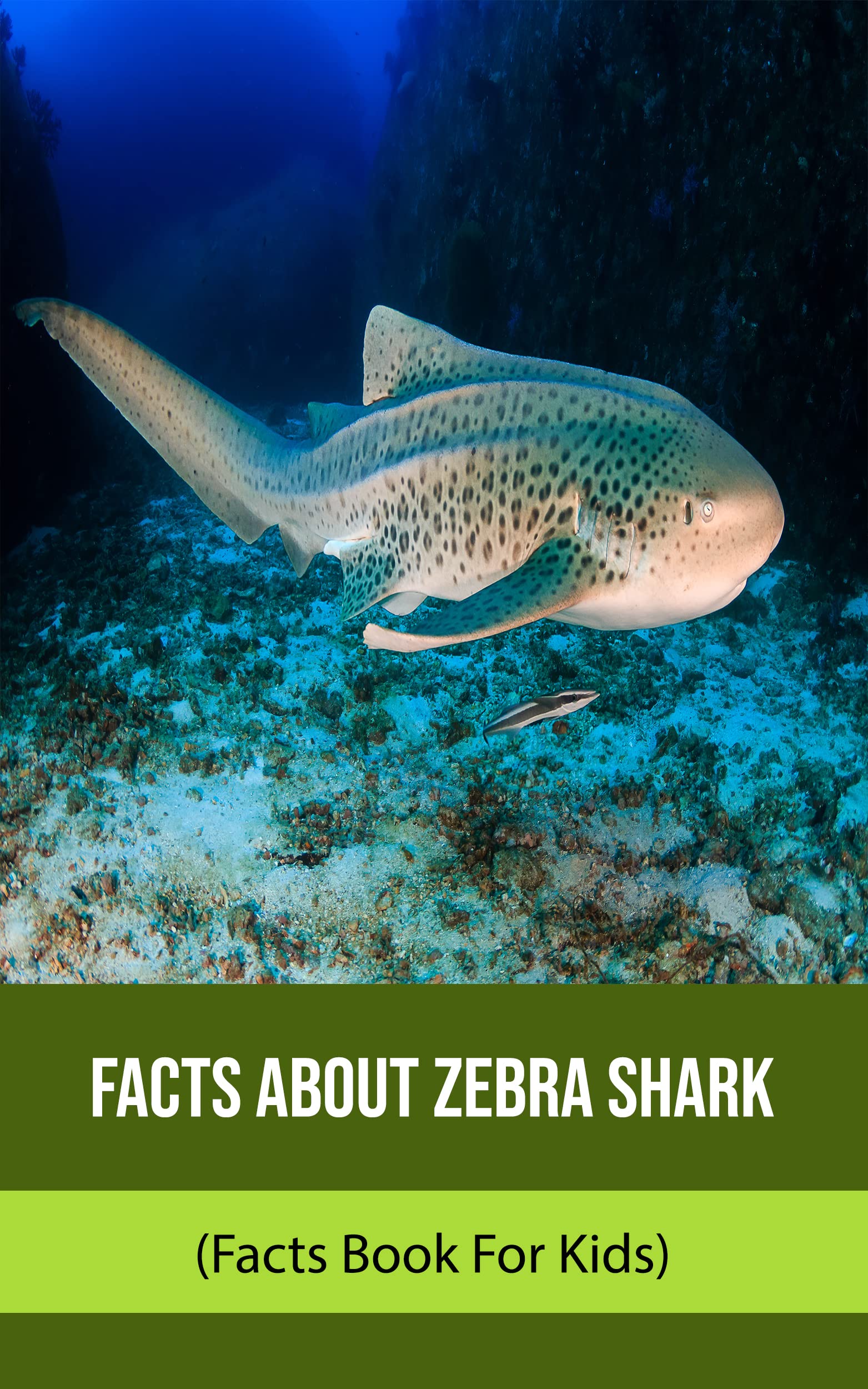 Facts About Zebra Shark (Facts Book For Kids) by Lina Raol | Goodreads