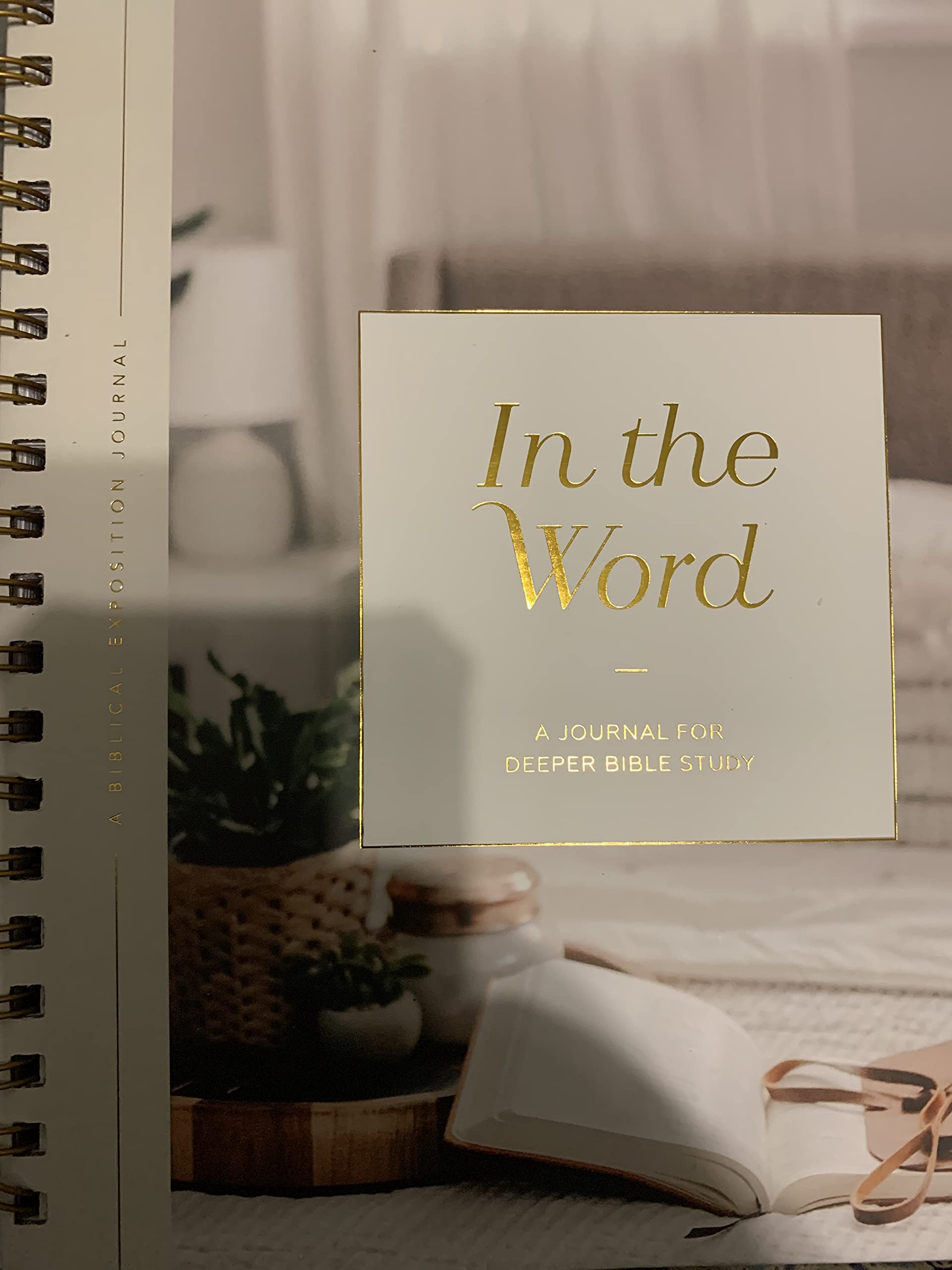 IN THE WORD | A JOURNAL FOR DEEPER BIBLE STUDY by The Daily Grace Co ...