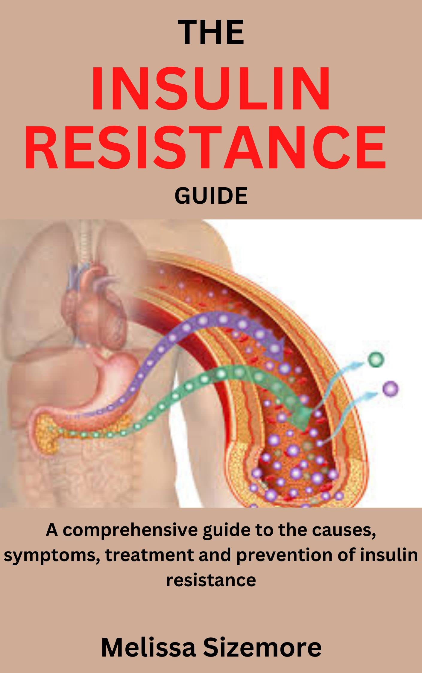 THE INSULIN RESISTANCE GUIDE: A comprehensive guide to the causes, symptoms, treatment and ...