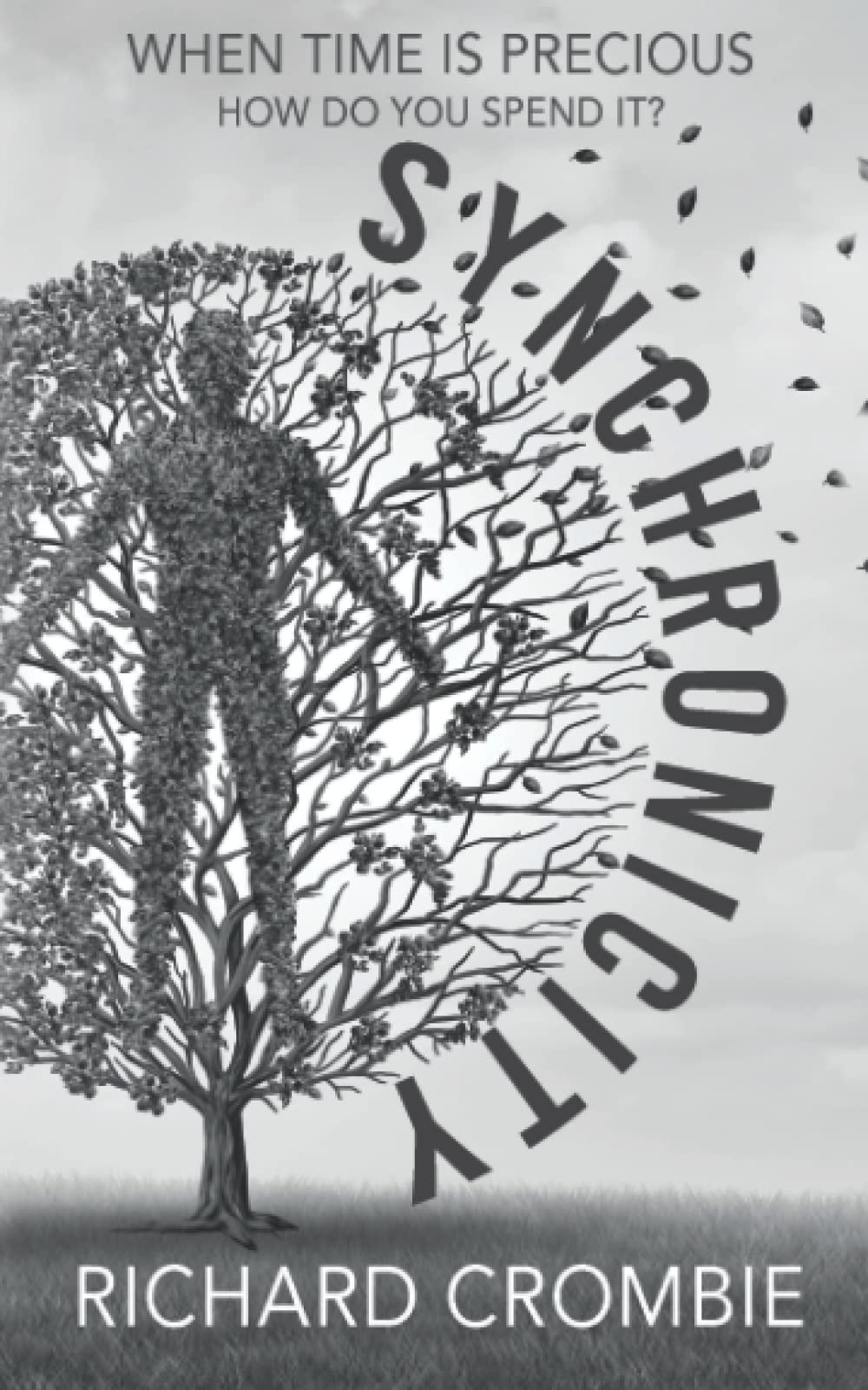 Synchronicity by Richard Crombie | Goodreads