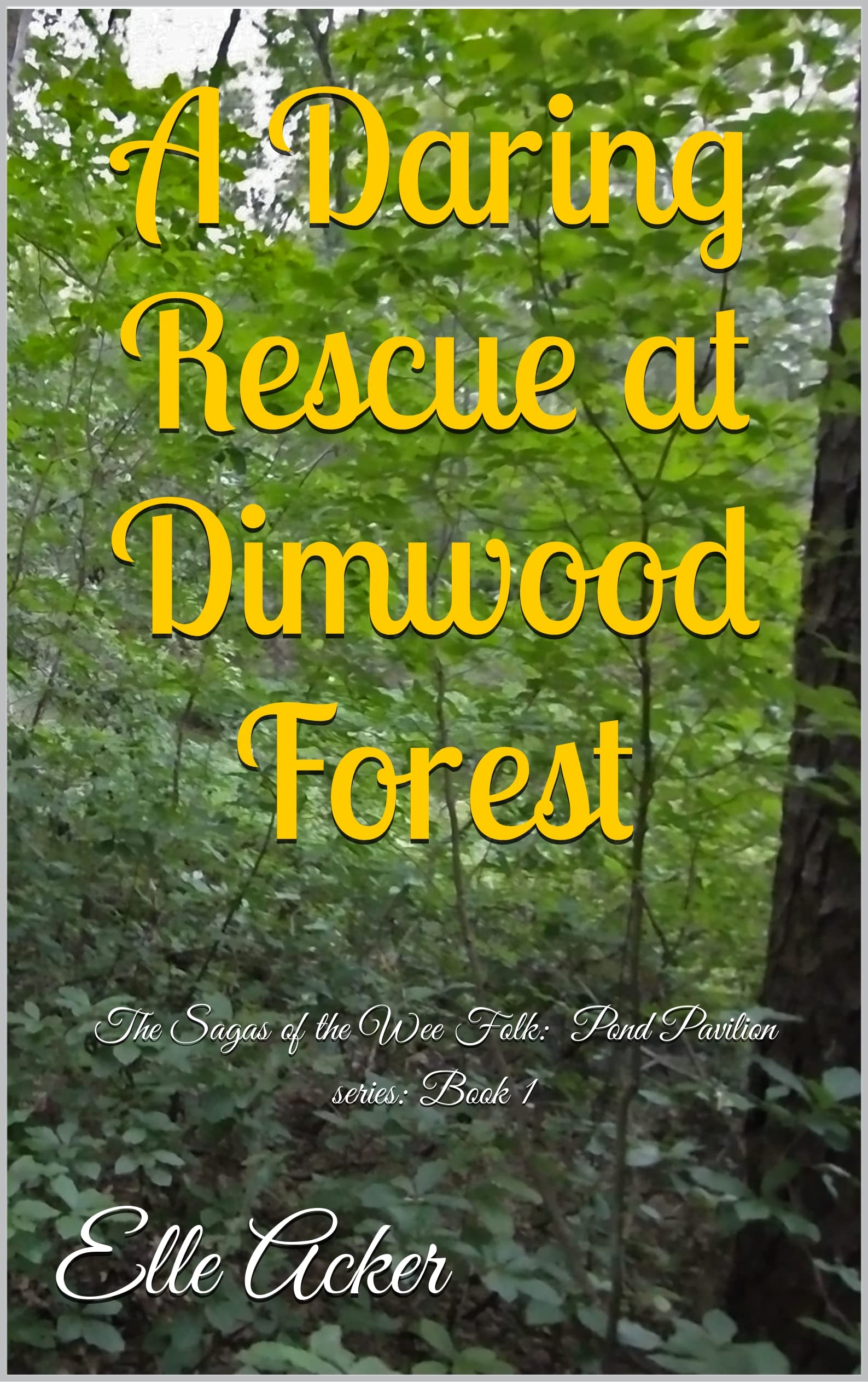 A Daring Rescue at Dimwood Forest: The Sagas of the Wee Folk: Pond ...