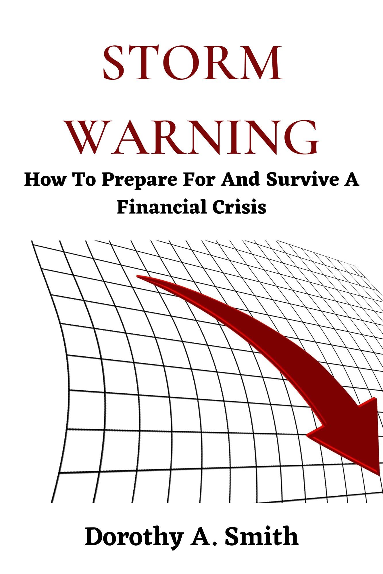 Storm Warning: How To Prepare For And Survive A Financial Crisis by ...