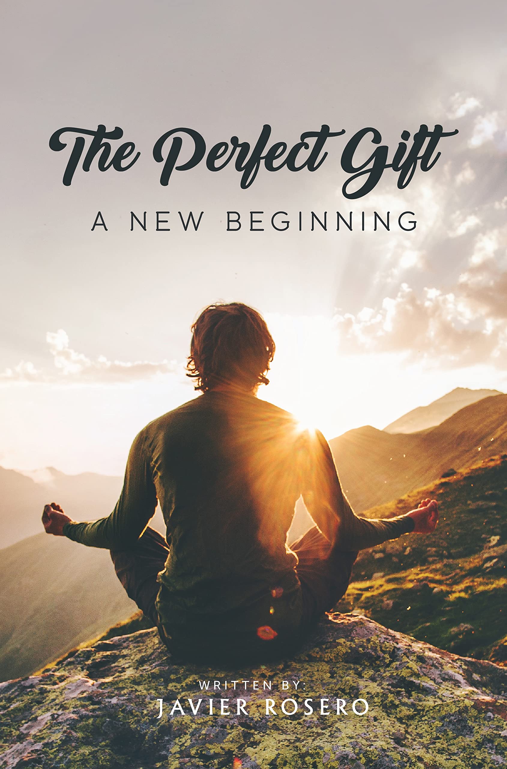 The Perfect Gift: A New Beginning by Javier Rosero | Goodreads