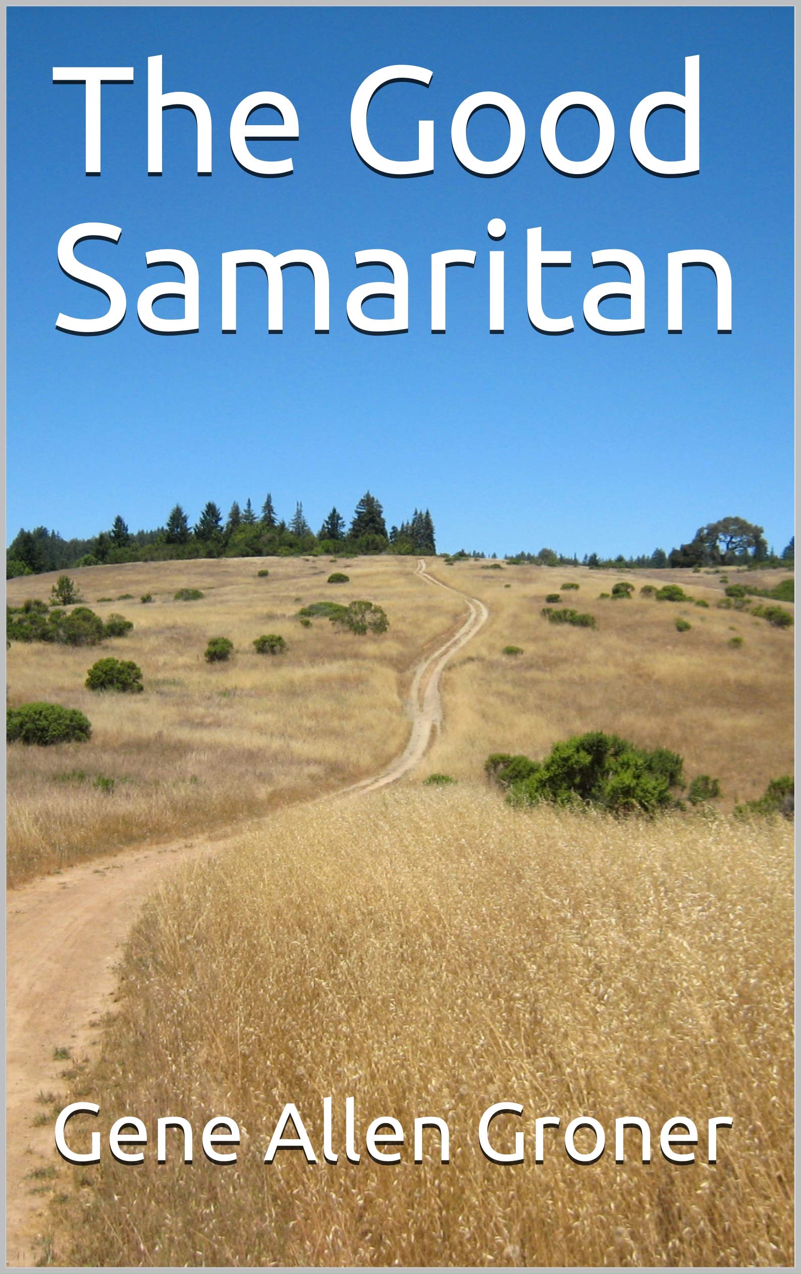 The Good Samaritan by Gene Allen Groner | Goodreads