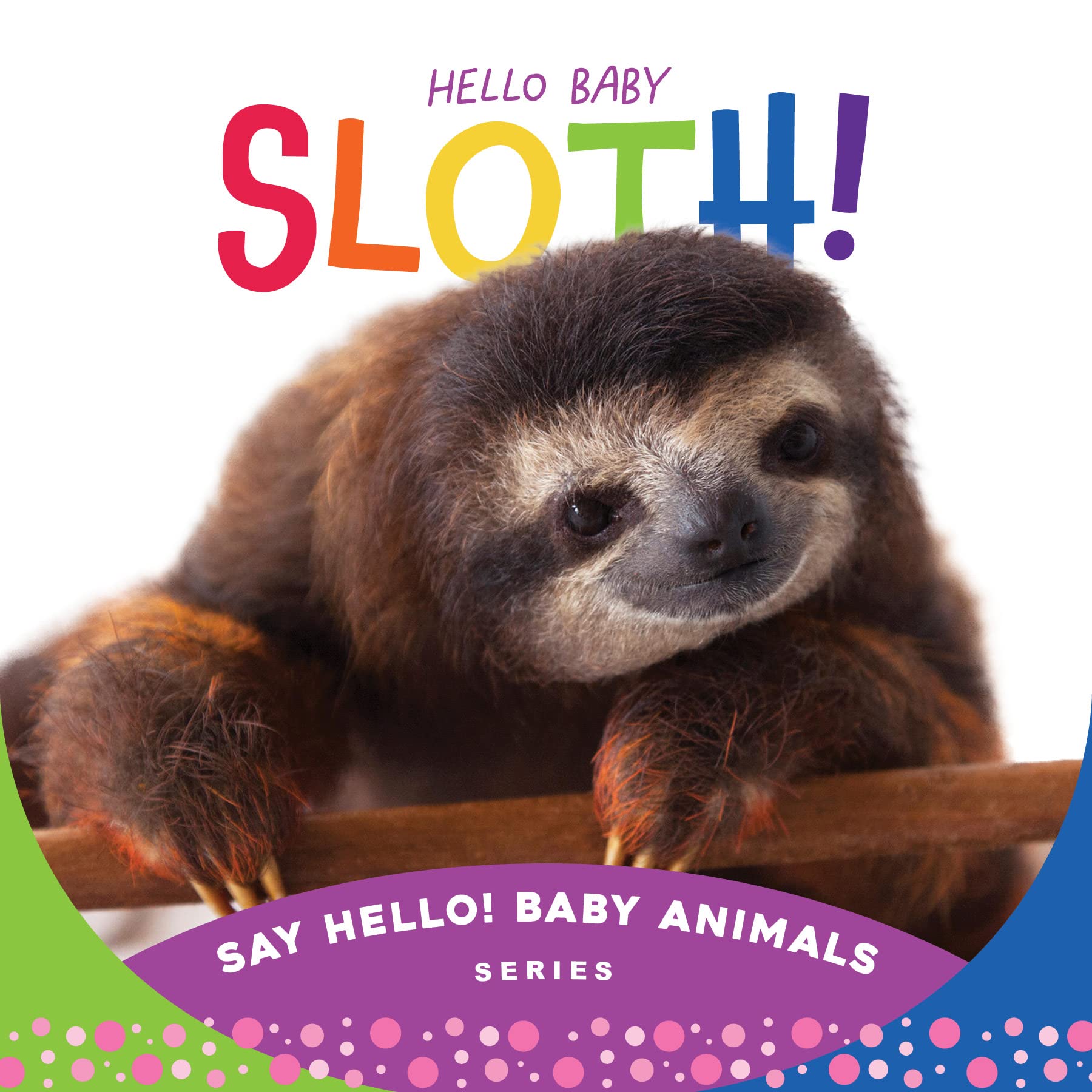 Hello Baby Sloth! (Say Hello! Baby Animals) by Beverly Rose | Goodreads